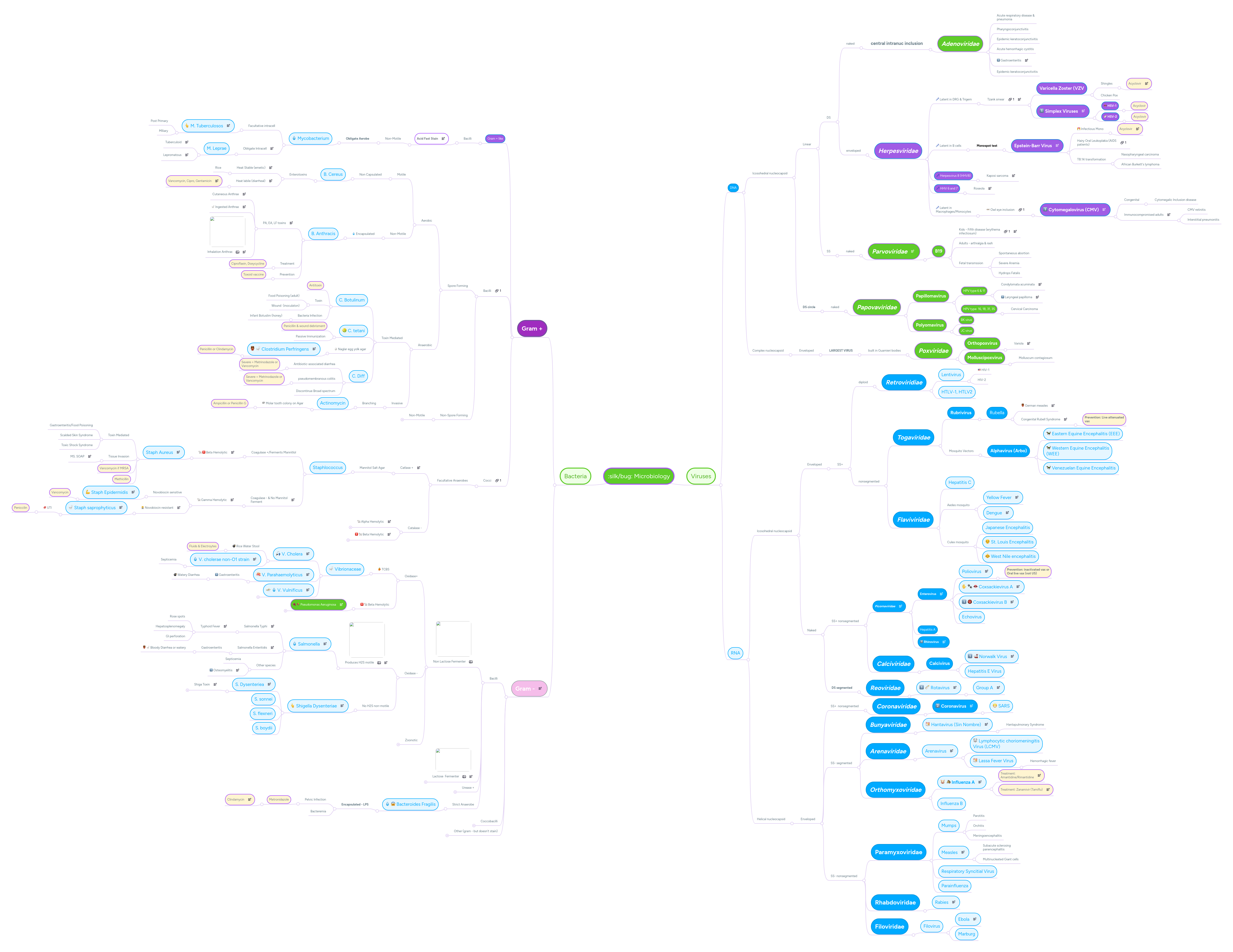 Microbiology | MindMeister Mind map
