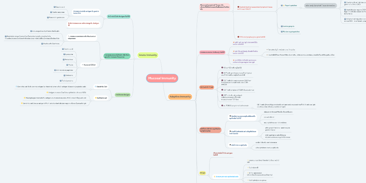 Mucosal Immunity | MindMeister Mind Map