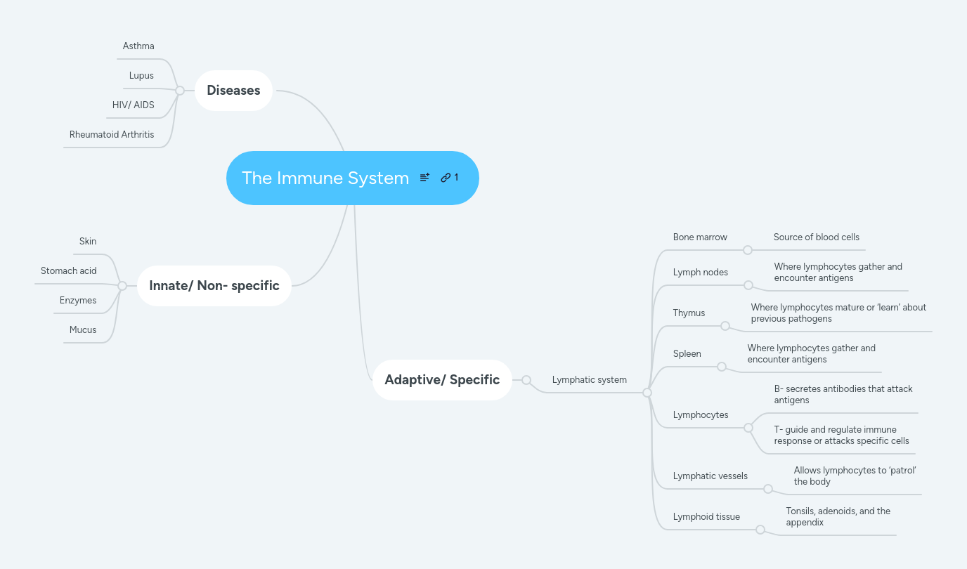 The Immune System | MindMeister Mind map