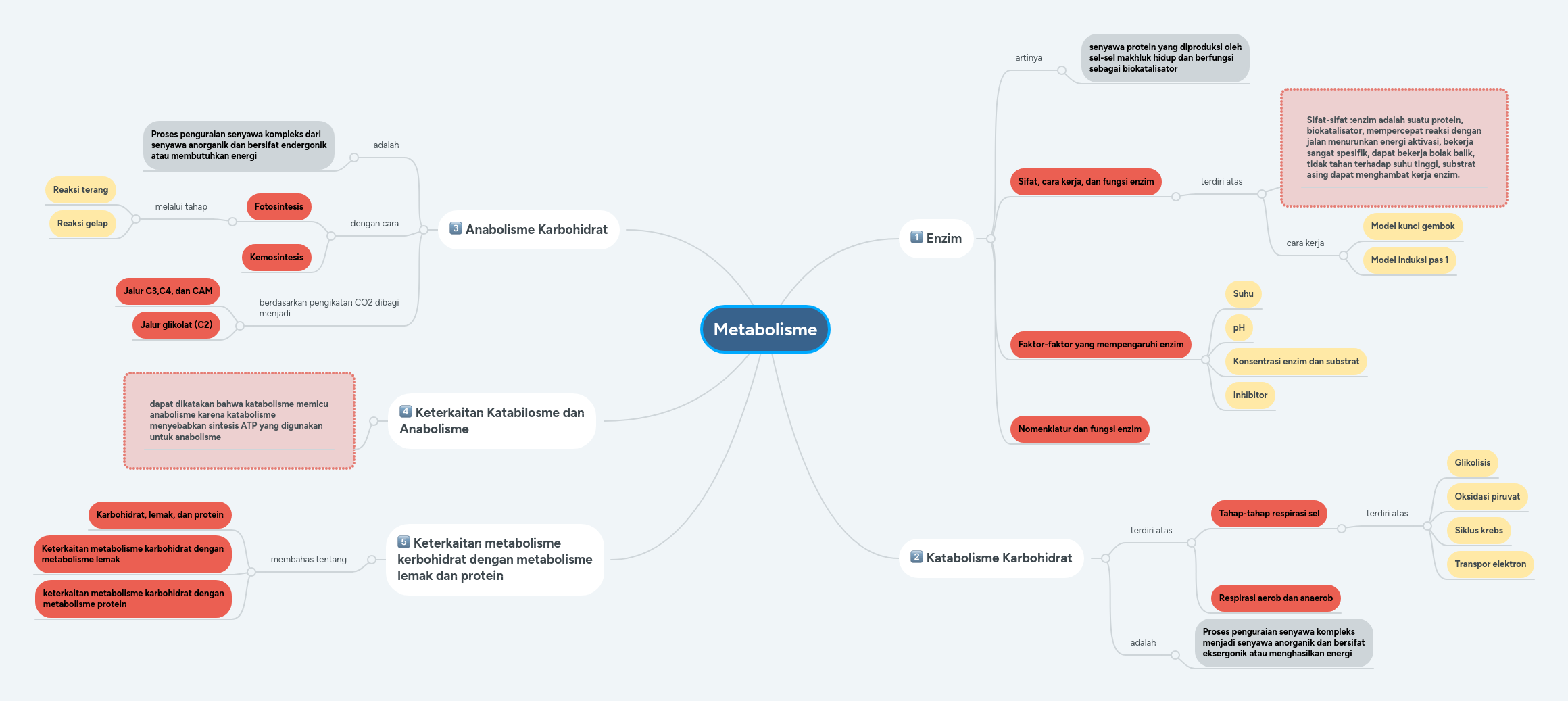 Metabolisme | MindMeister Mind Map