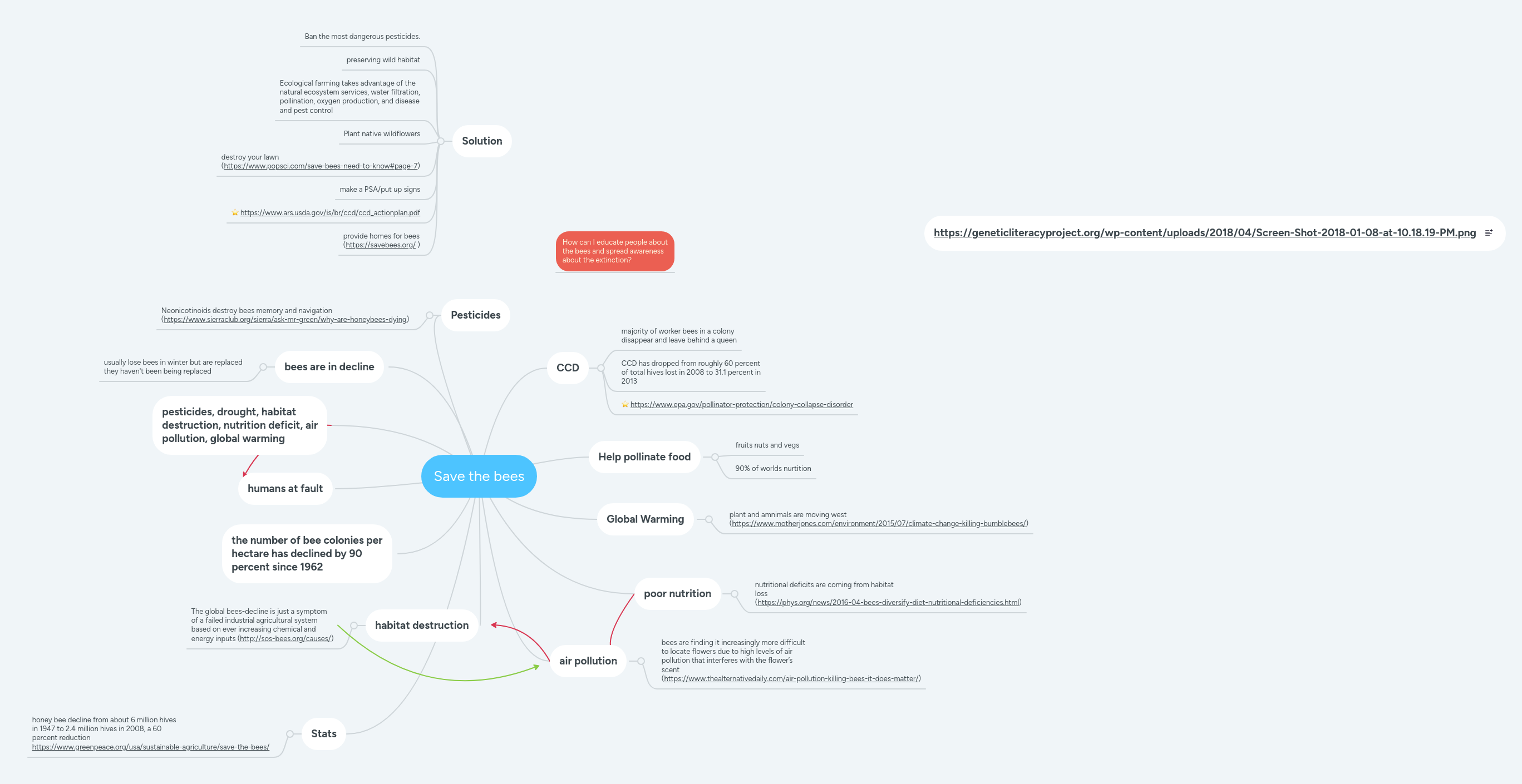 Save the bees | MindMeister Mind map