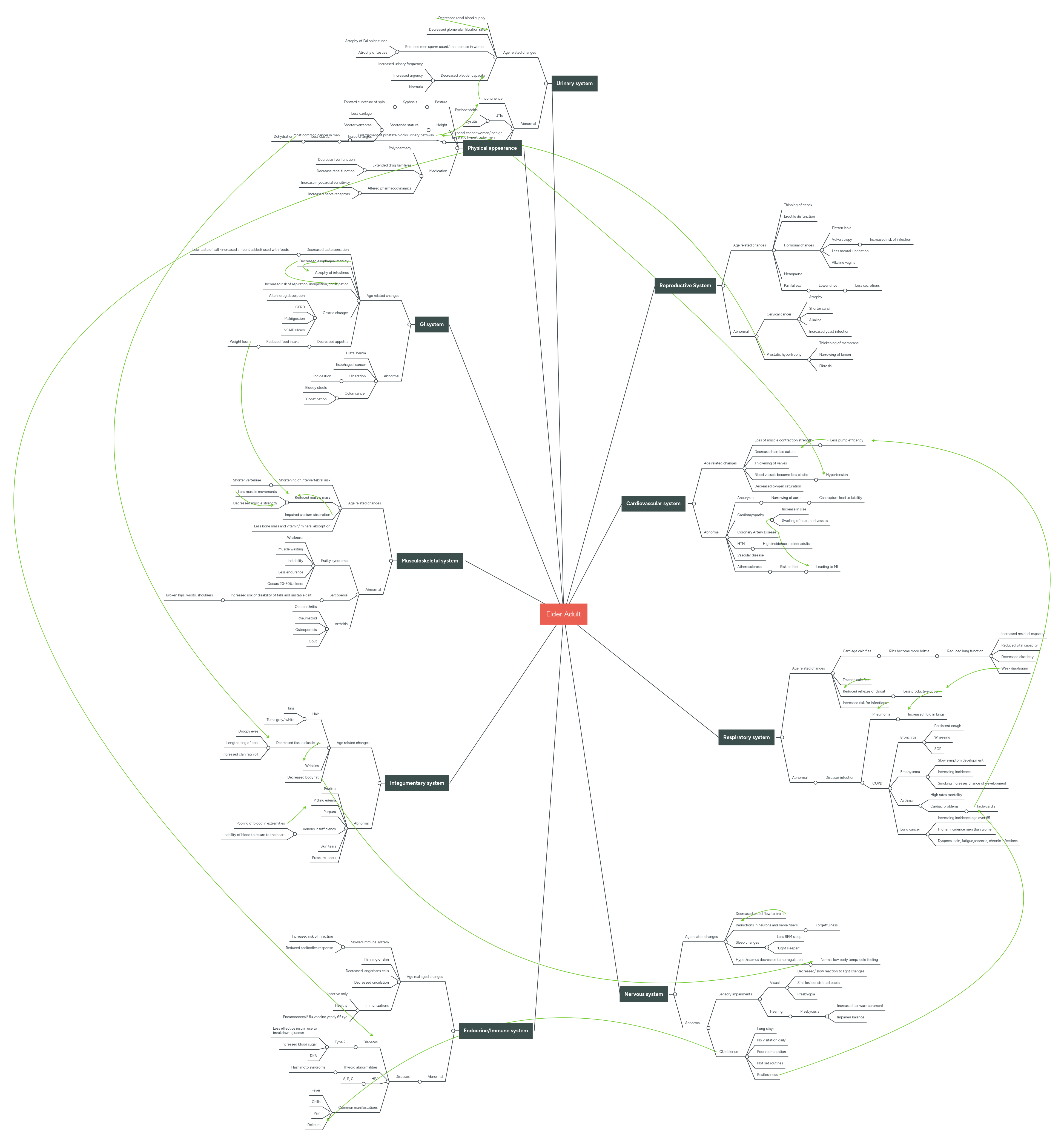 Elder Adult | MindMeister Mind map