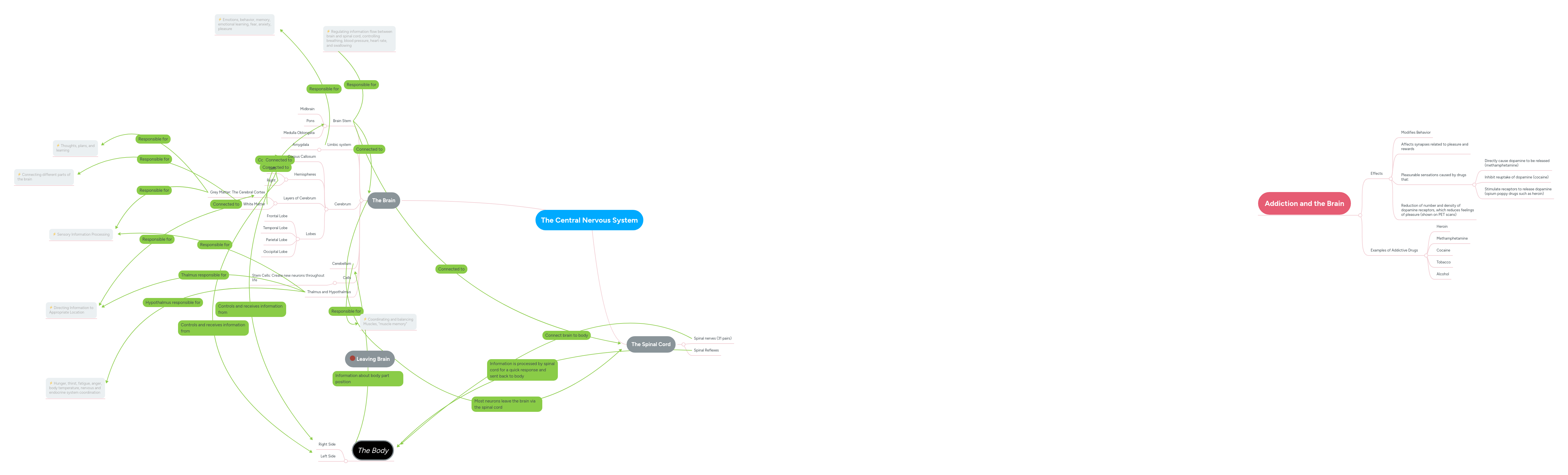 The Central Nervous System | MindMeister Mind map