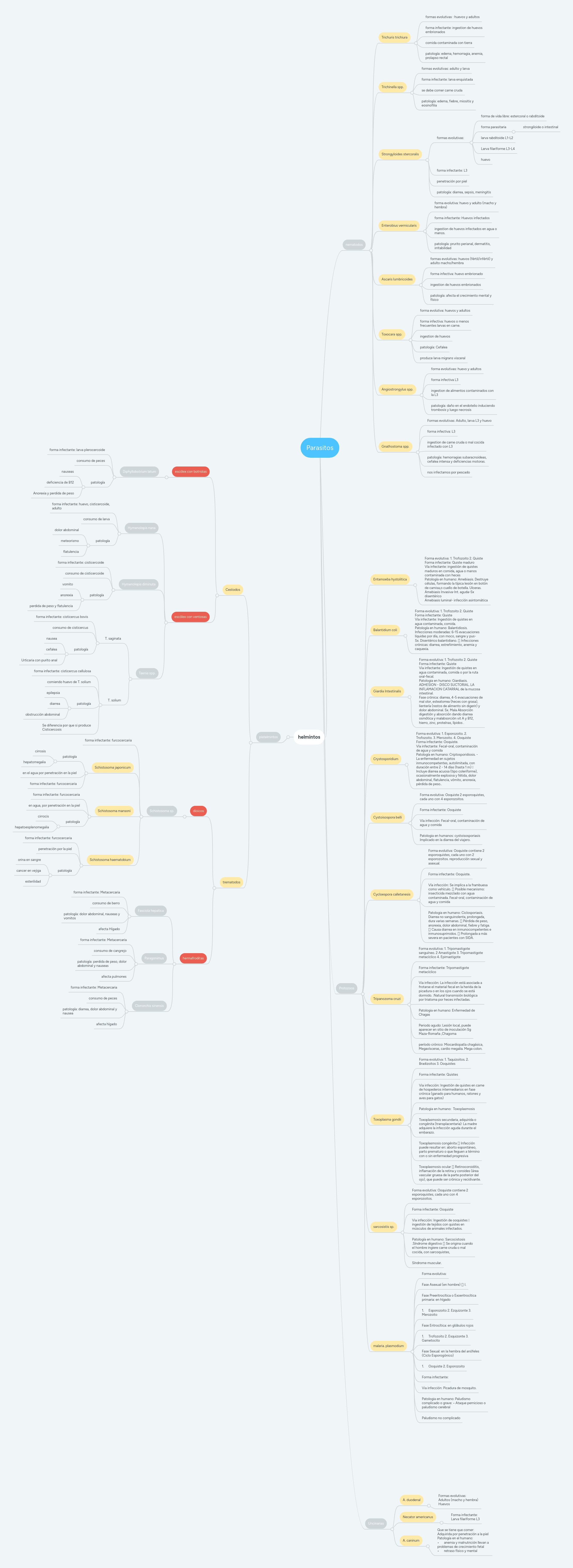 Parasitos | MindMeister Mind map
