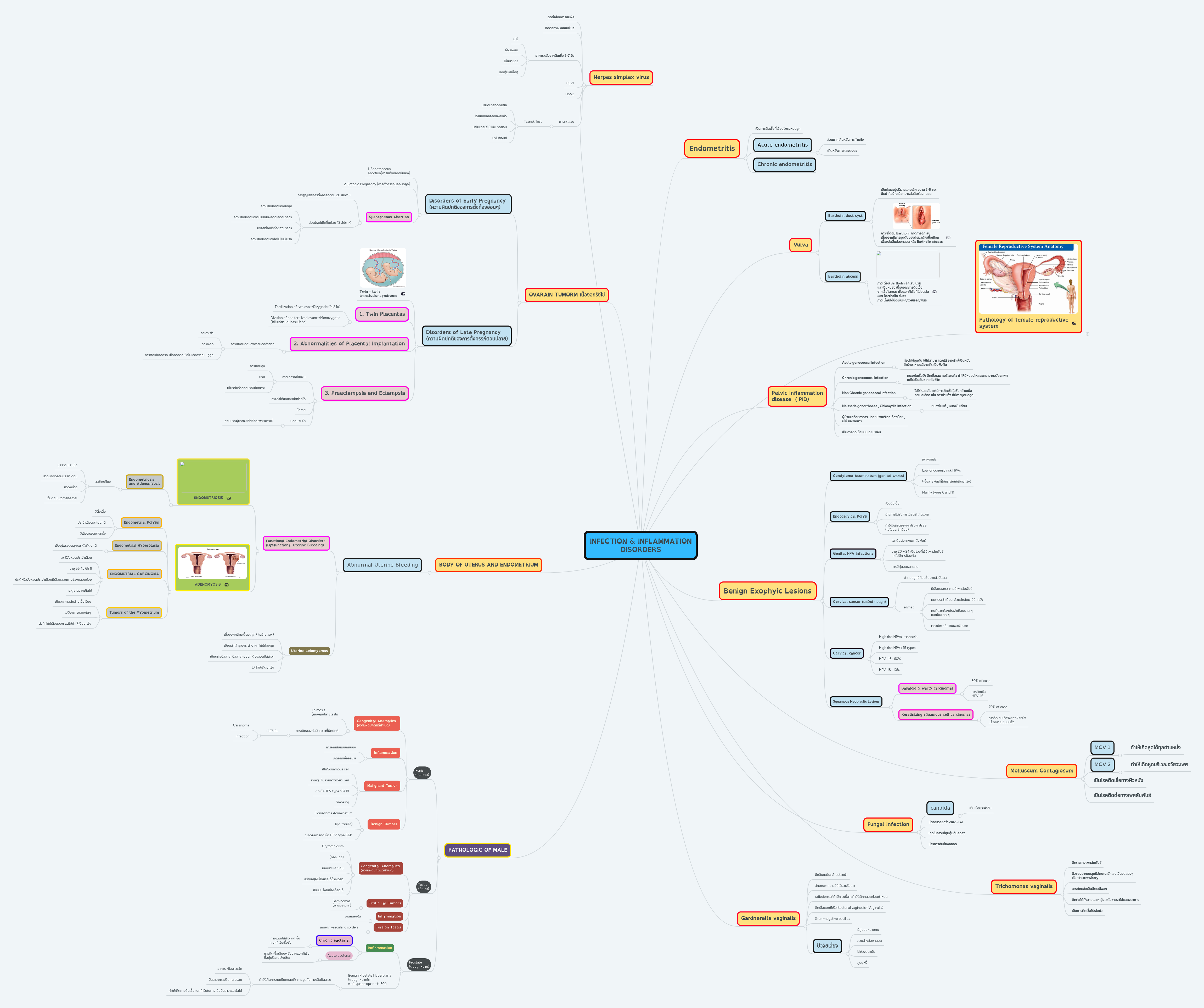 INFECTION & INFLAMMATION DISORDERS | MindMeister Mind map