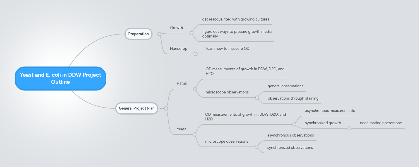Yeast and E. coli in DDW Project Outline | MindMeister Mind map
