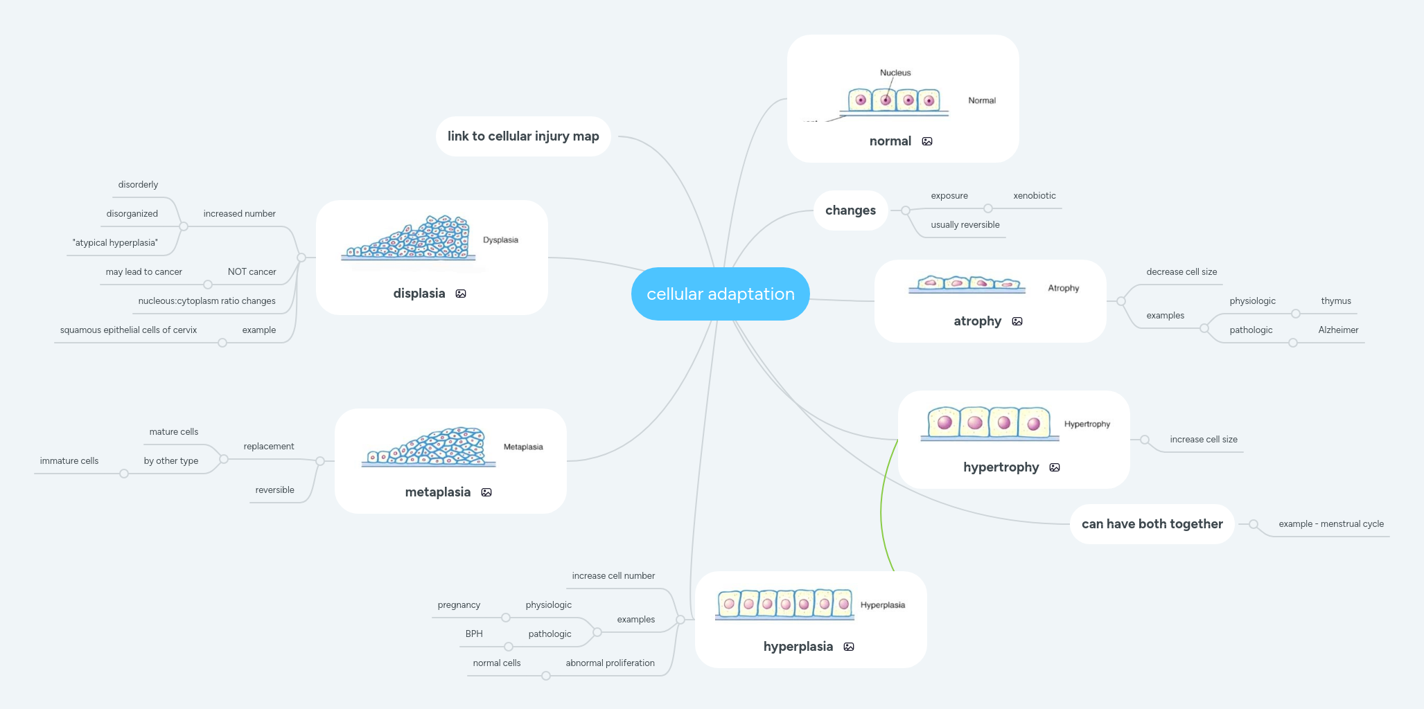 cellular adaptation | MindMeister Mind map
