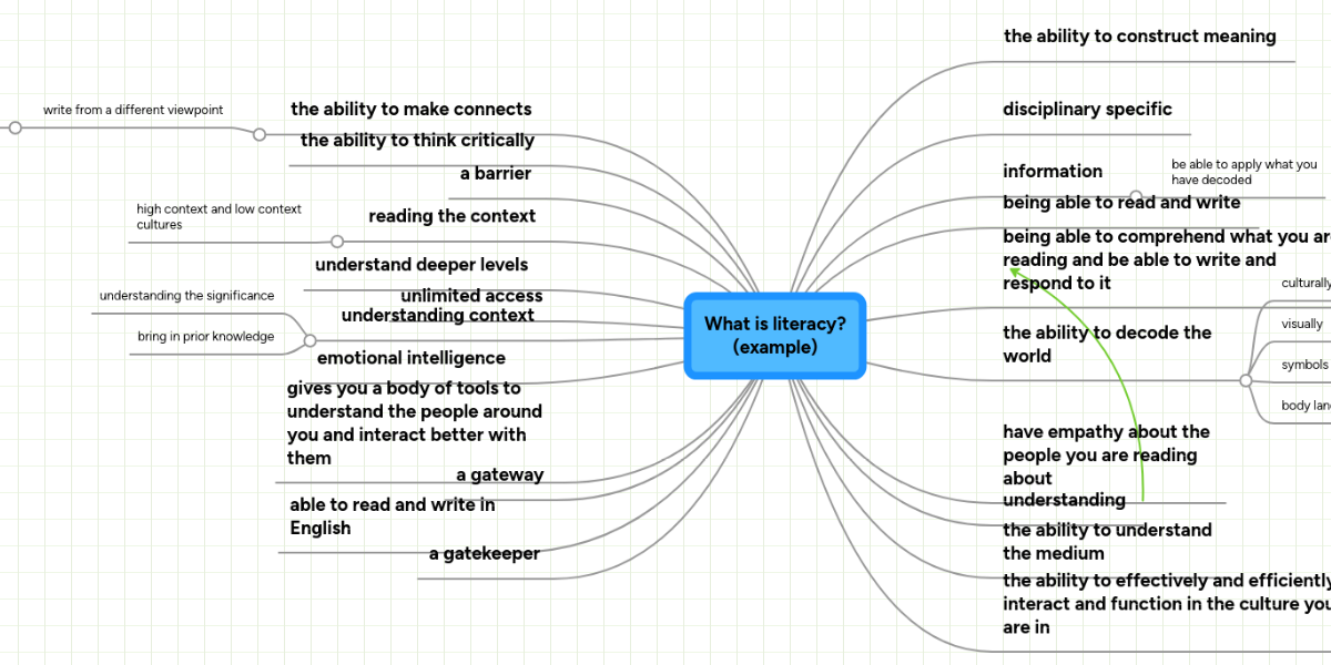 What is literacy? (example) | MindMeister Mind Map