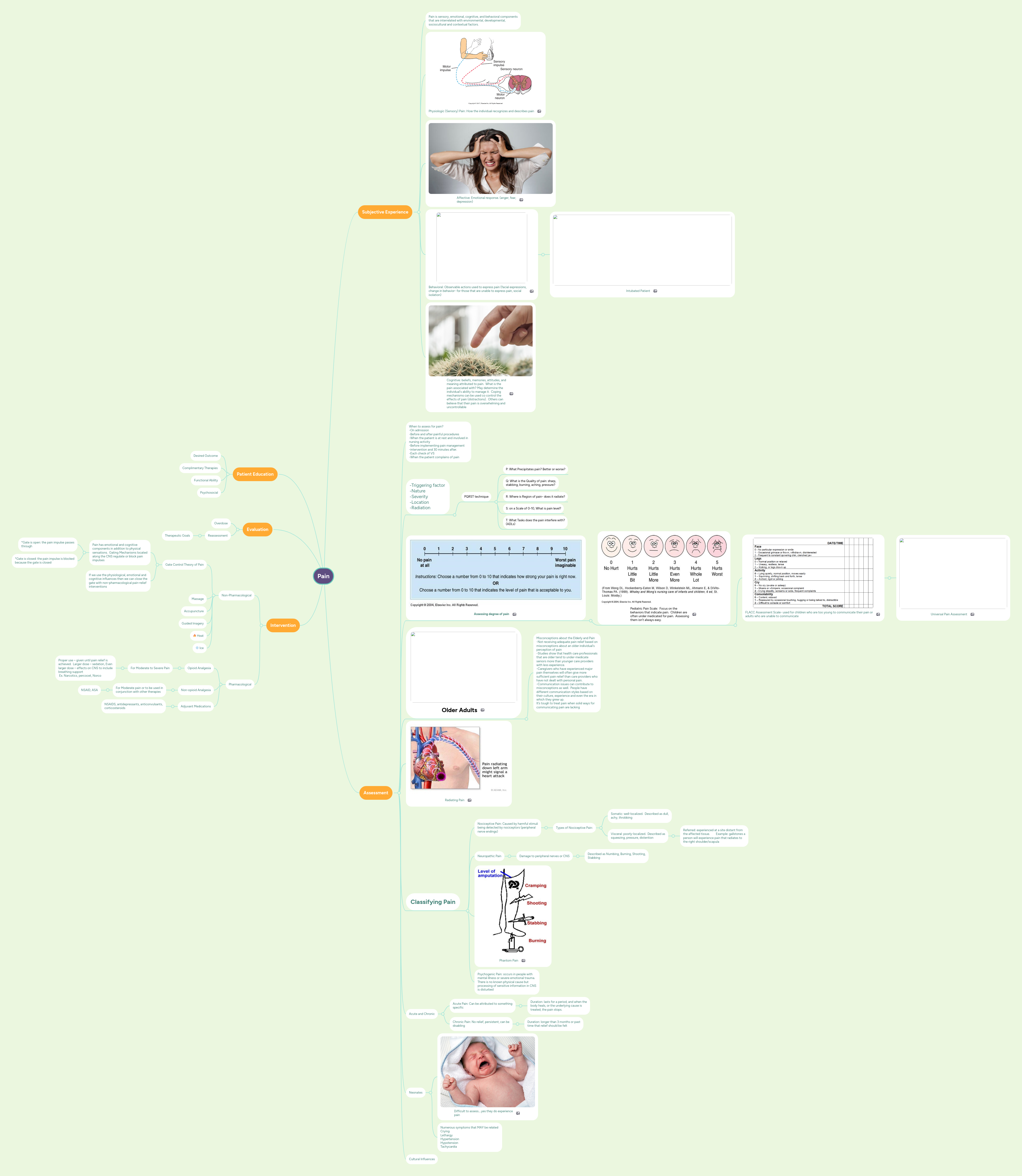 Pain | MindMeister Mind Map