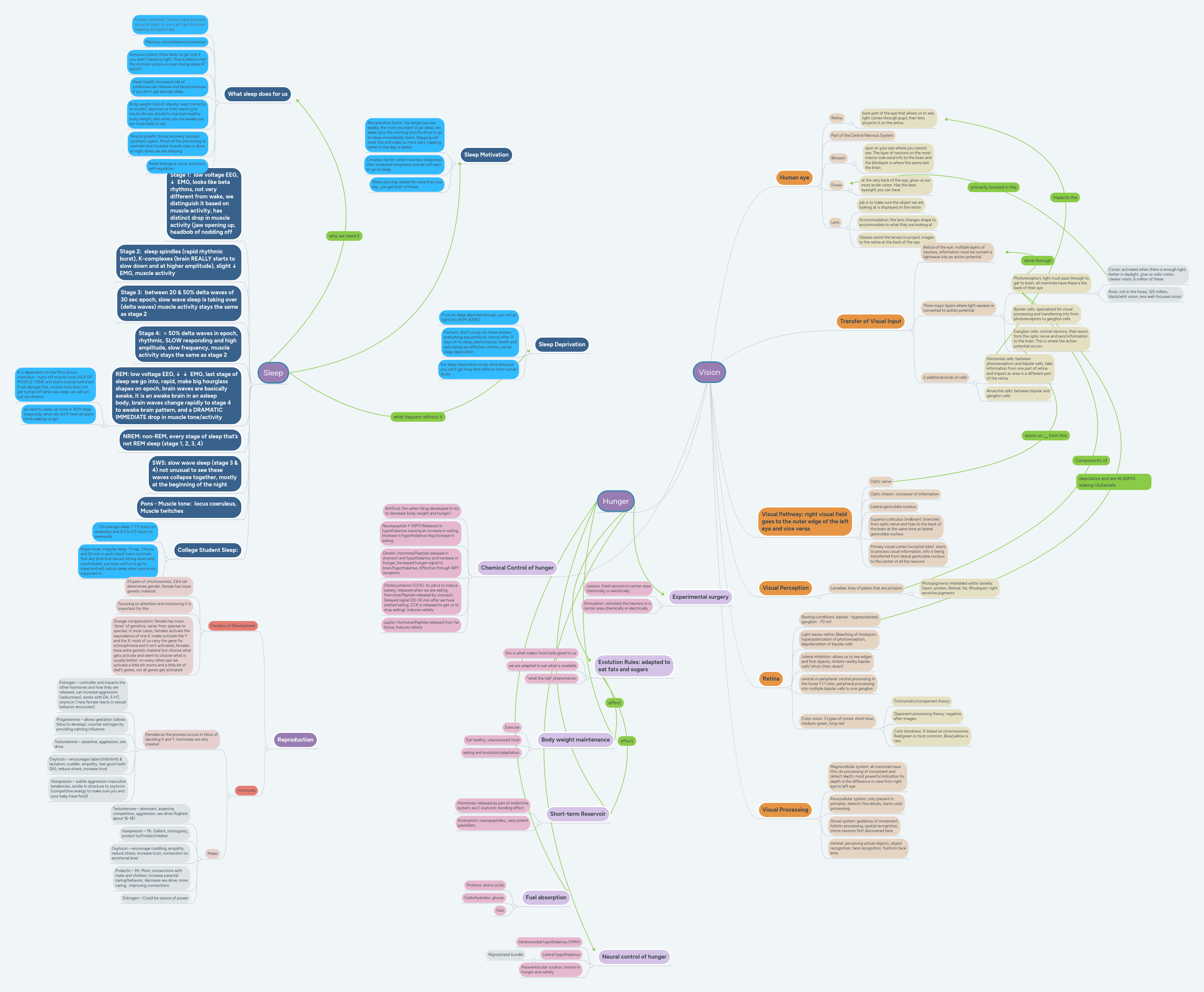 Vision | MindMeister Mind Map