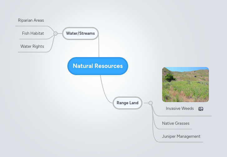 Natural Resources | MindMeister Mind map