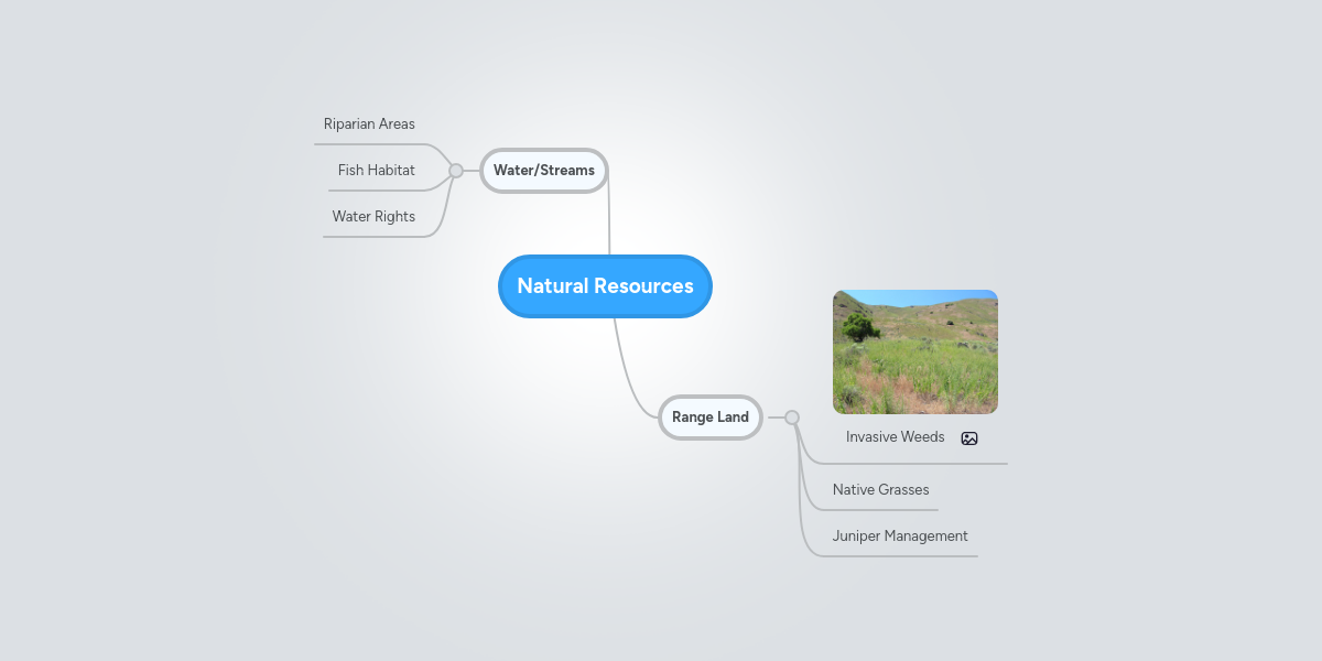 Natural Resources | MindMeister Mind Map