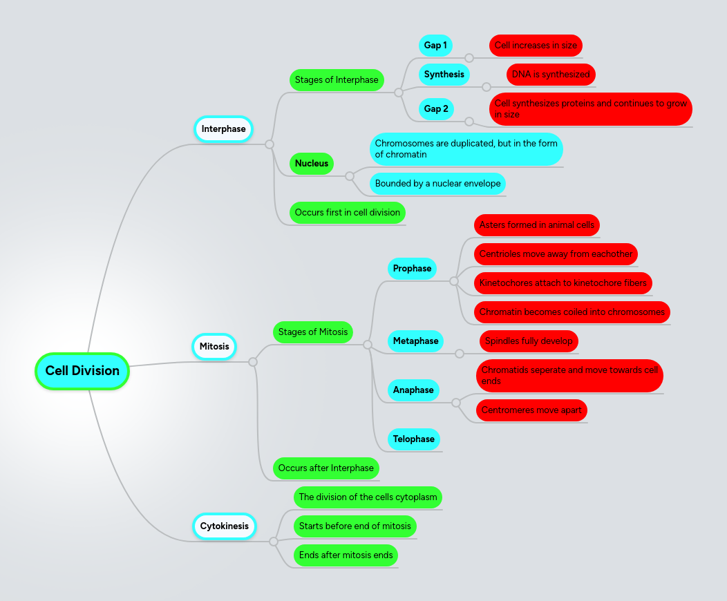 Cell Division | MindMeister Mind map