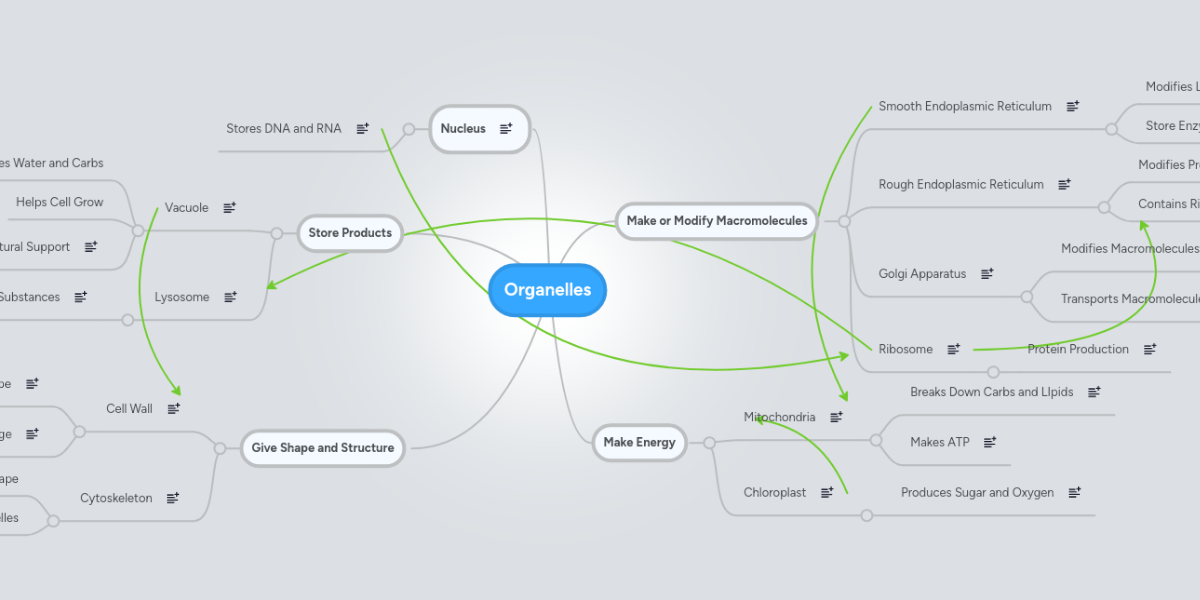 Organelles | MindMeister Mind Map