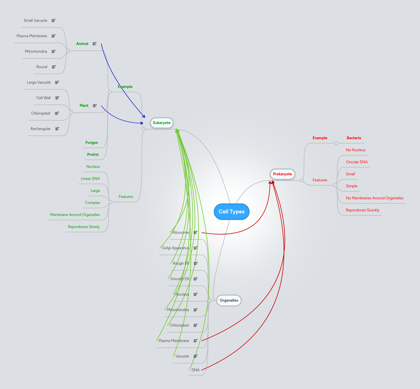 Cell Types | MindMeister Mind map