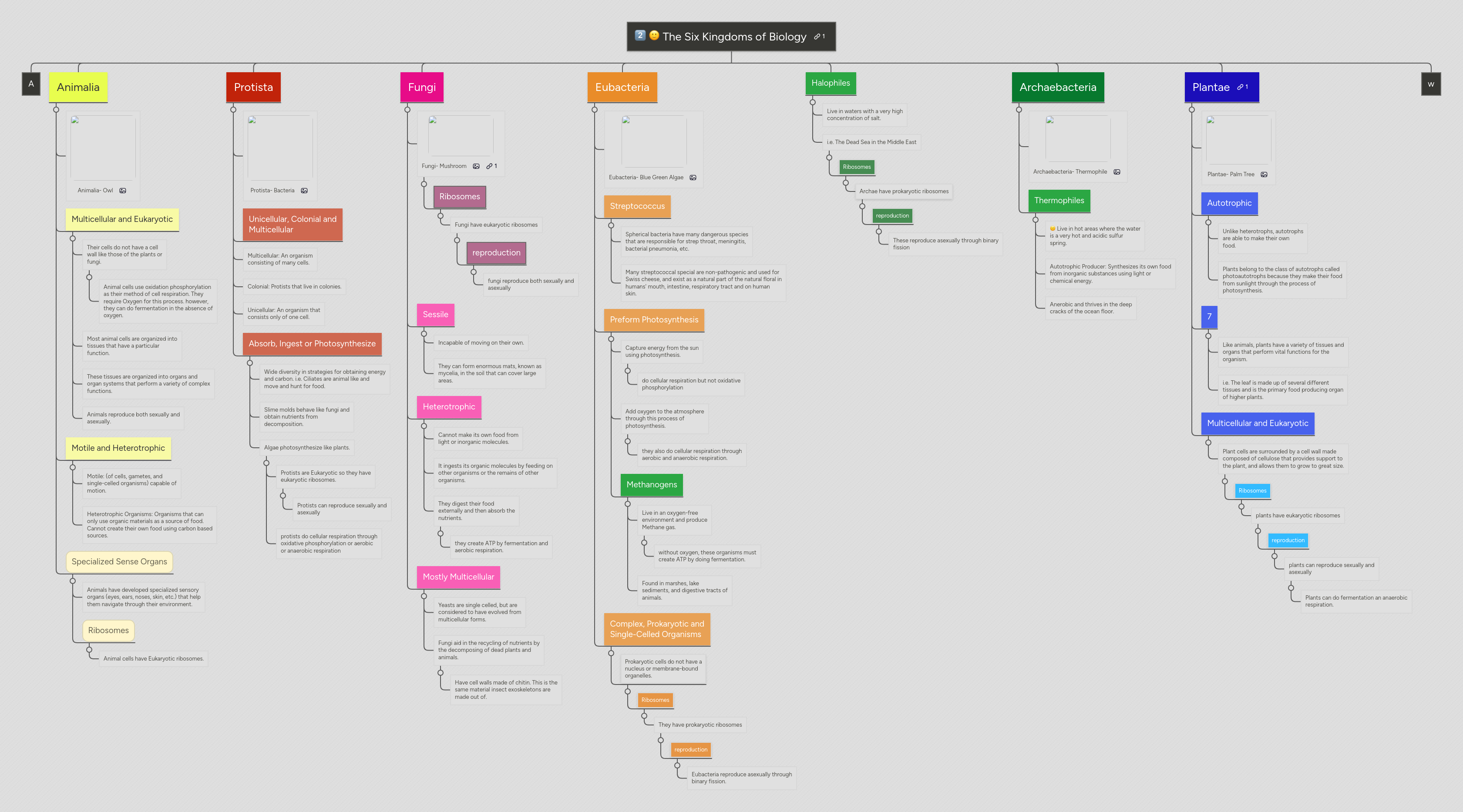 The Six Kingdoms of Biology | MindMeister Mind Map