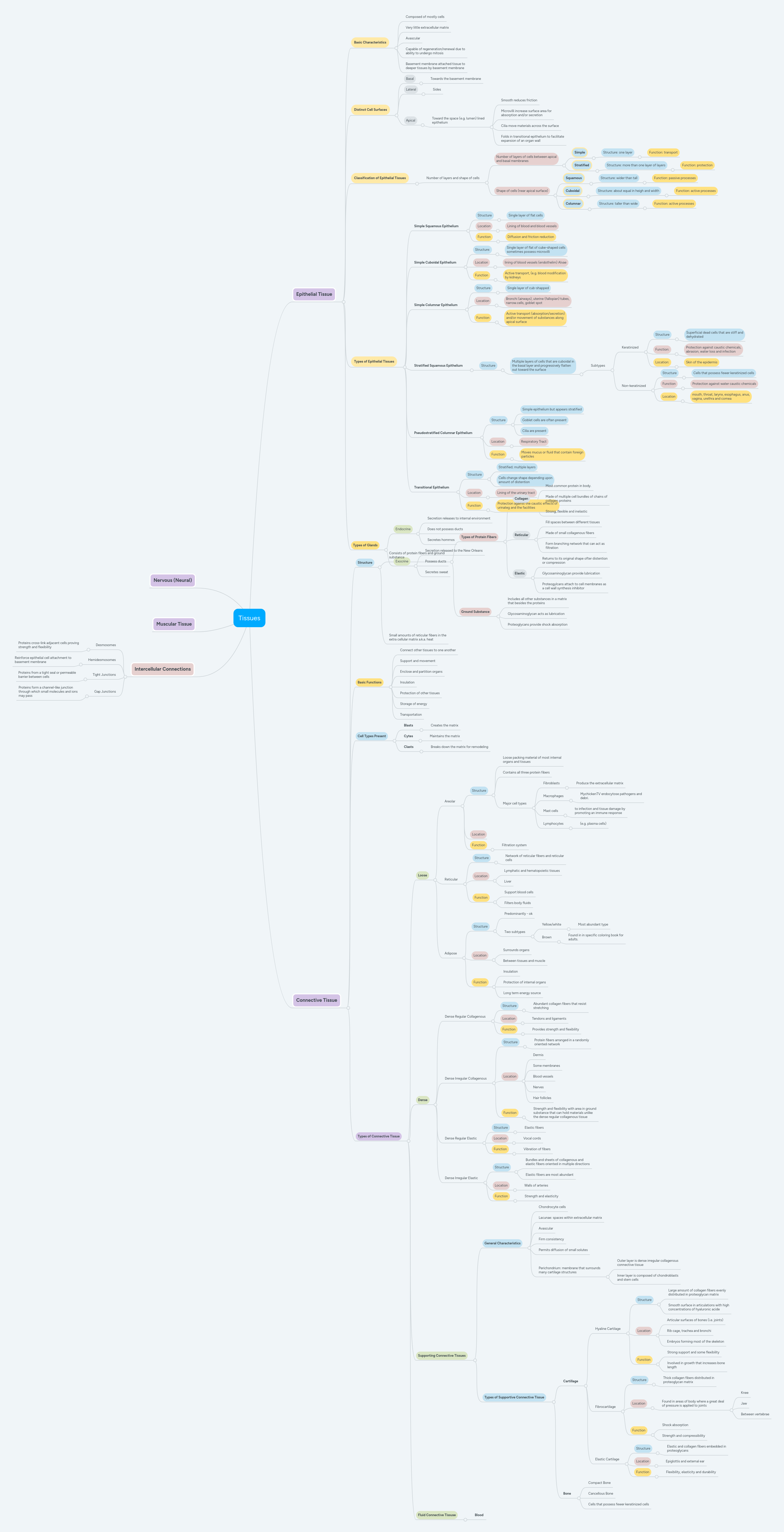 Tissues | MindMeister Mind Map