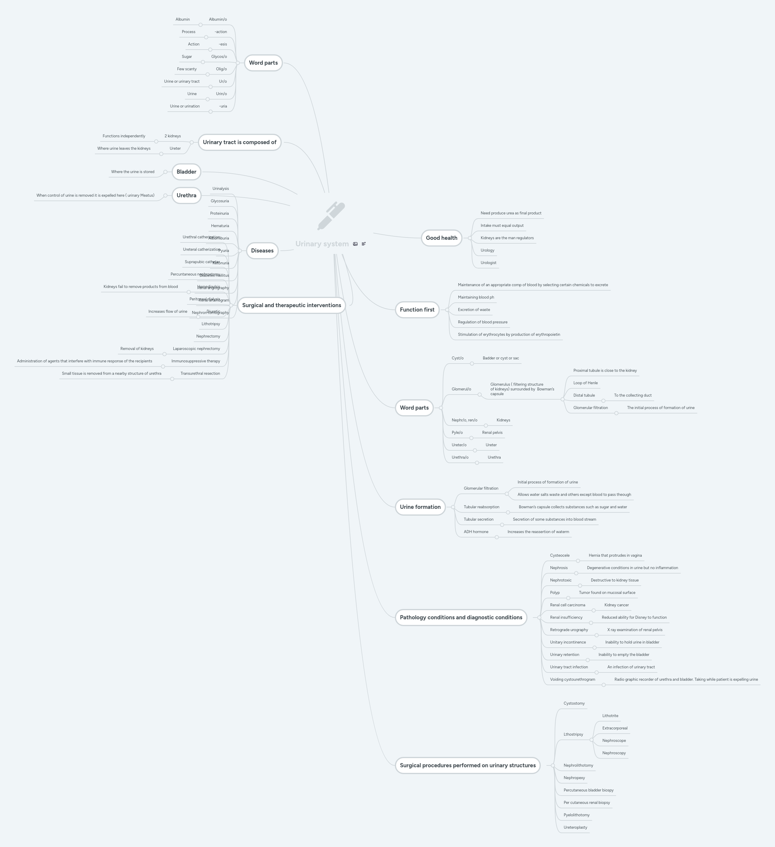 Urinary system | MindMeister Mind map