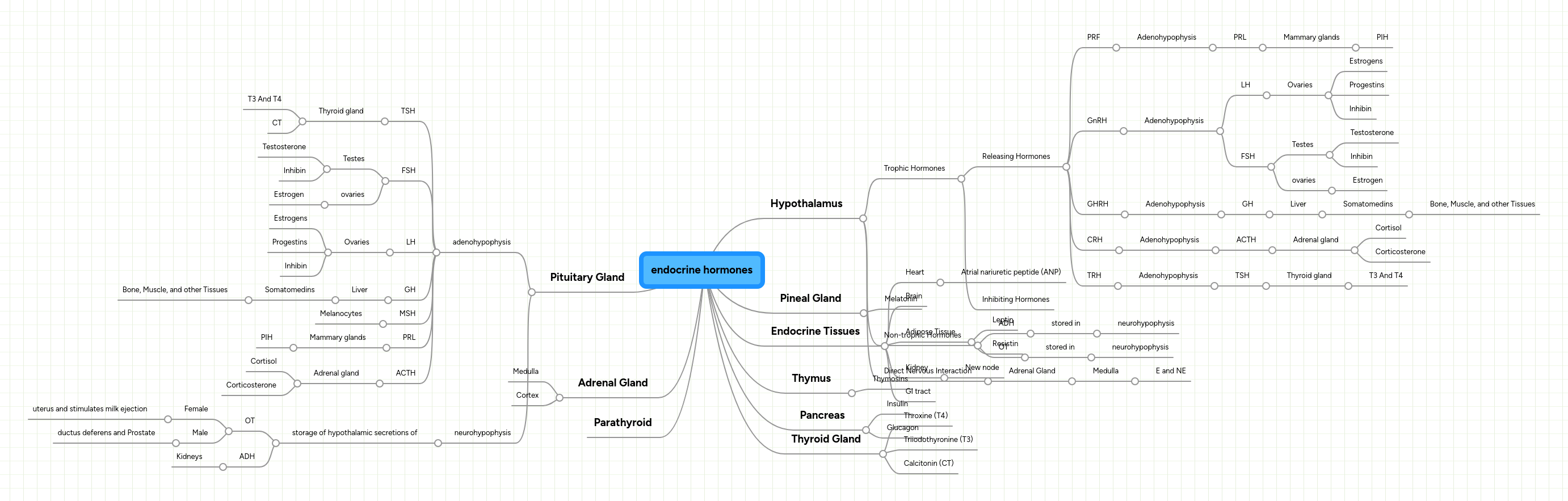 endocrine hormones | MindMeister Mind map