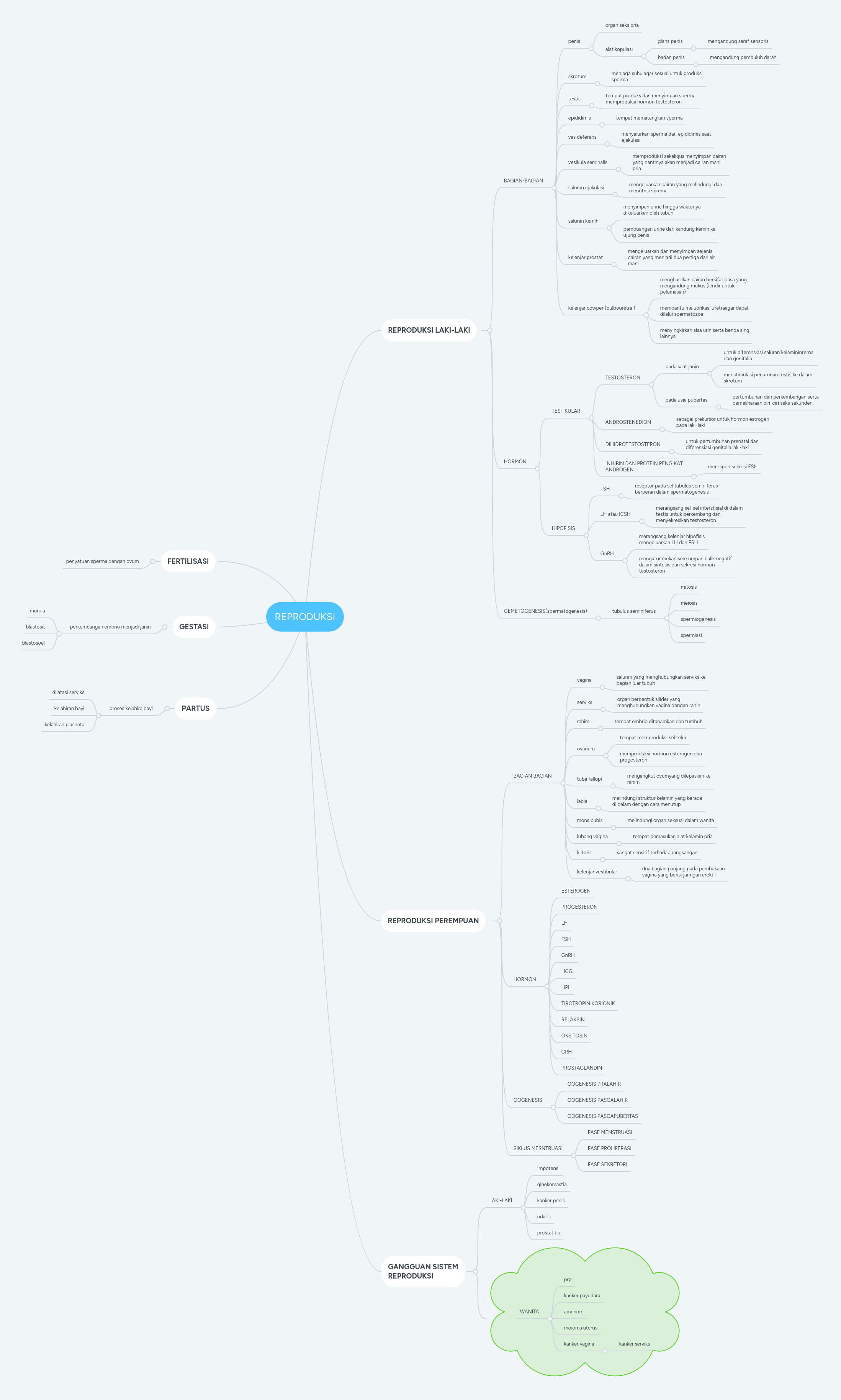 REPRODUKSI | MindMeister Mind map