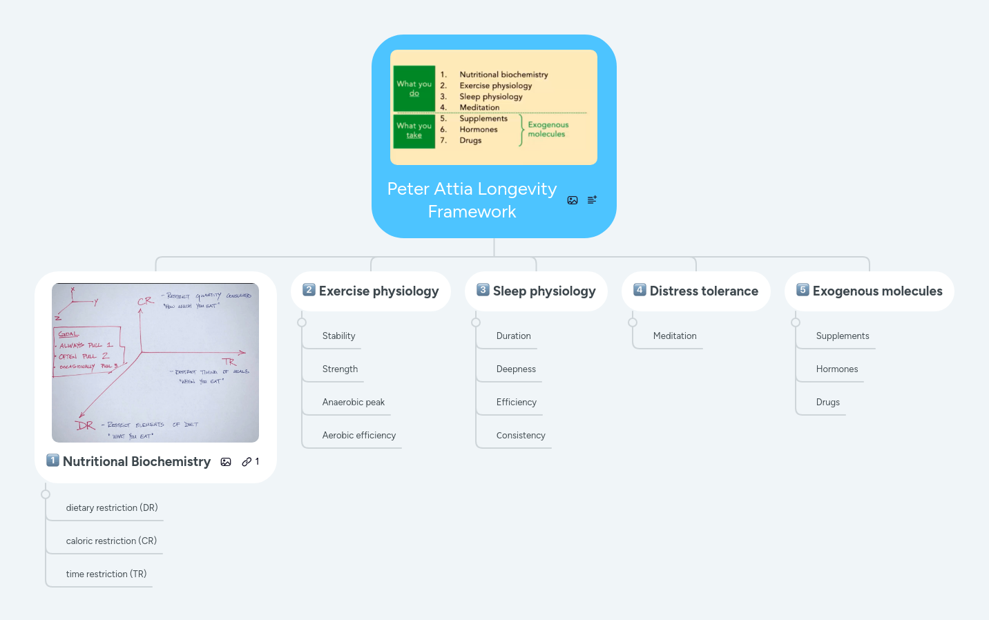 Peter Attia Longevity Framework | MindMeister Mind map