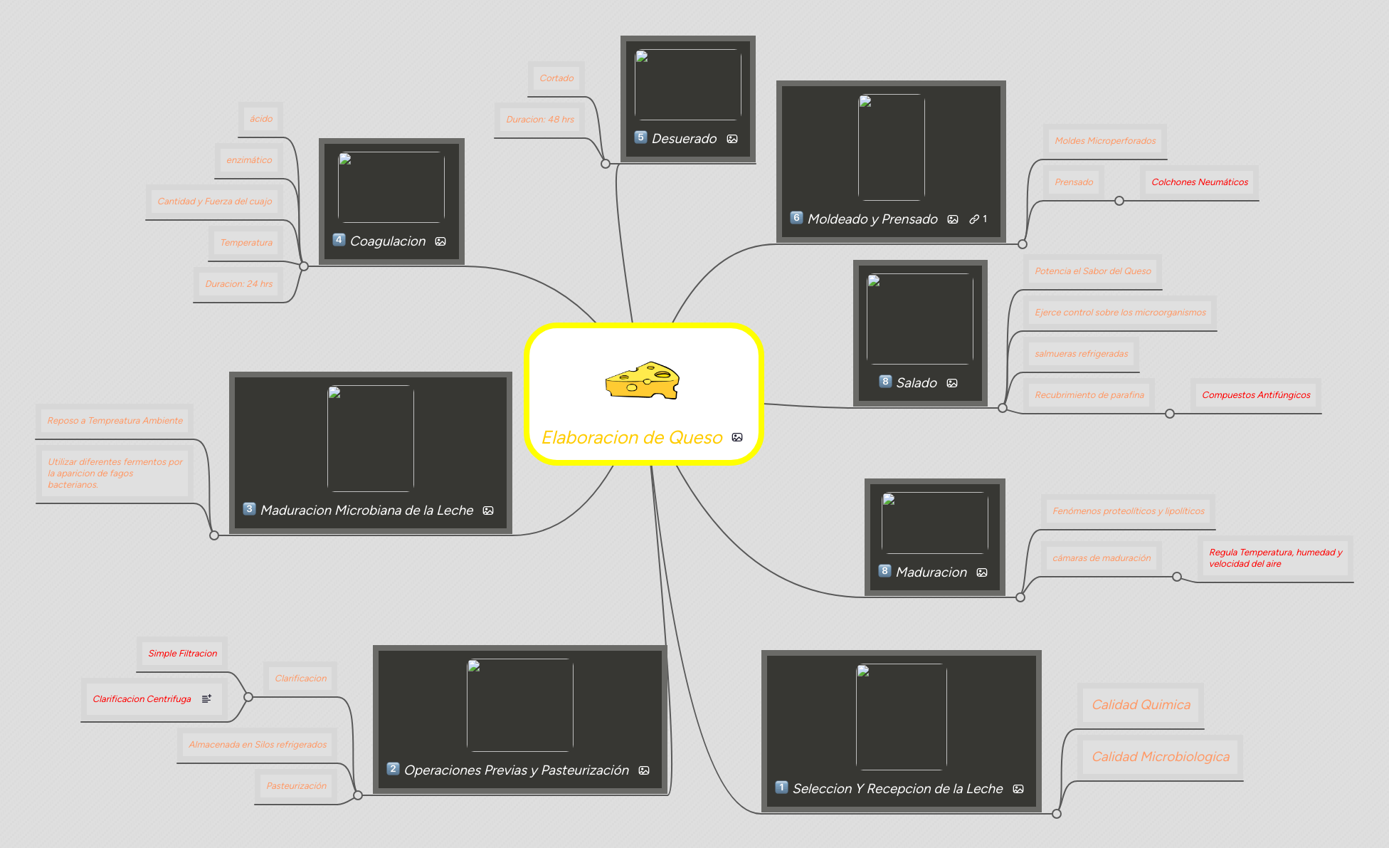 Elaboracion de Queso | MindMeister Mapa Mental