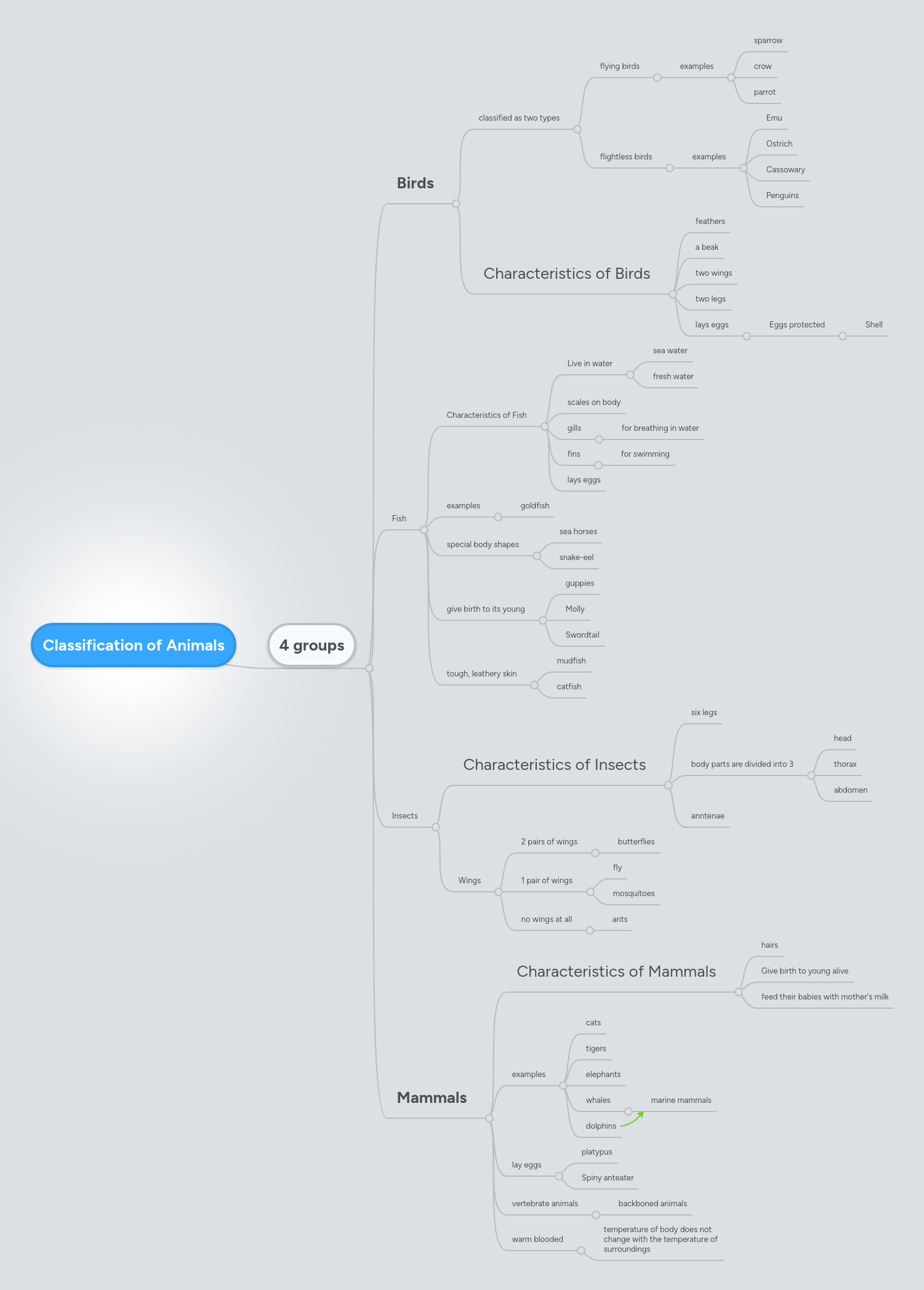 Classification of Animals | MindMeister Mind Map