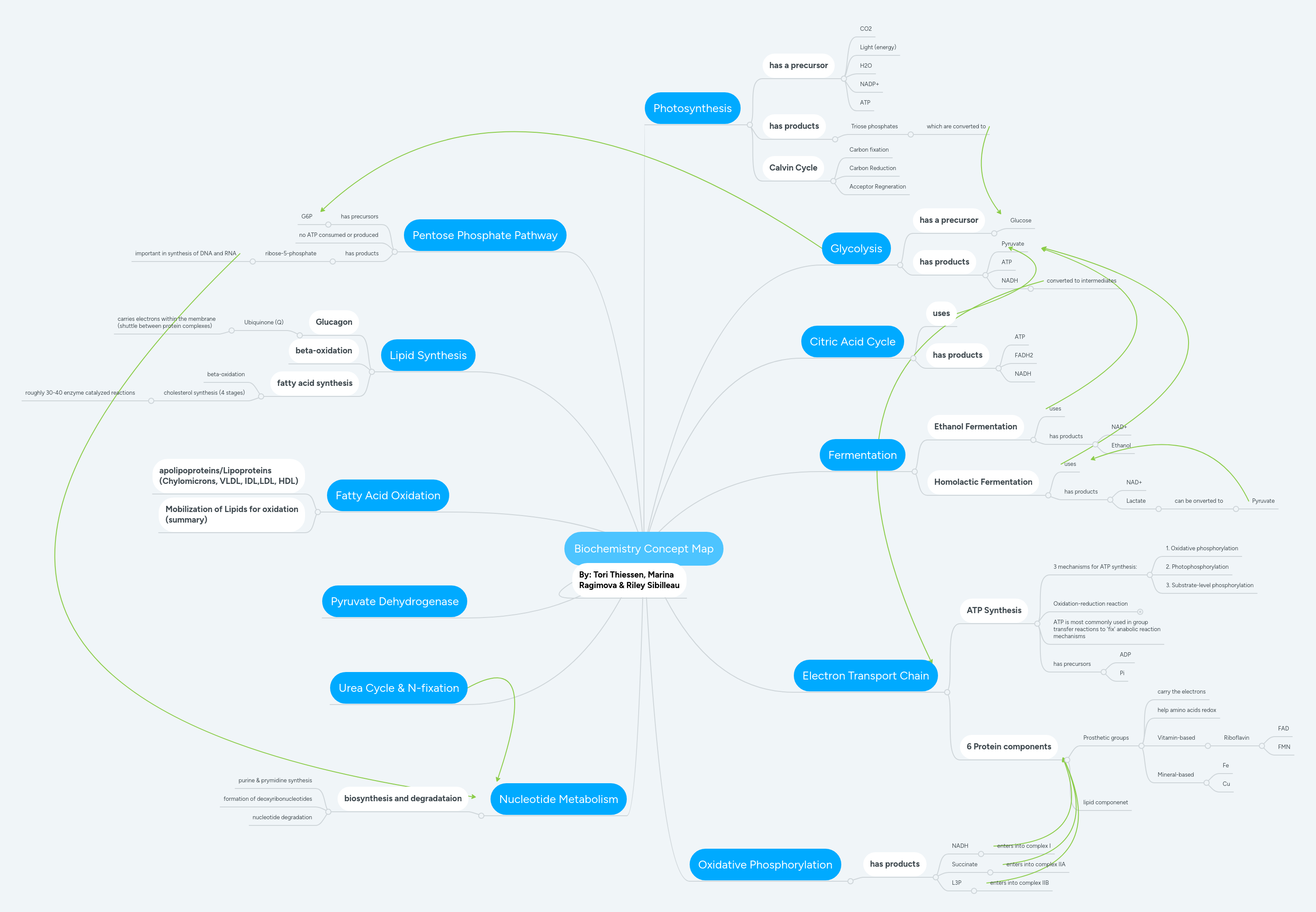 Biochemistry Concept Map | MindMeister Mind map