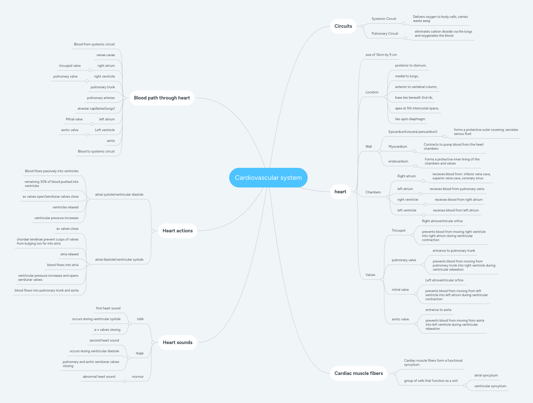Cardiovascular system | MindMeister Mind map