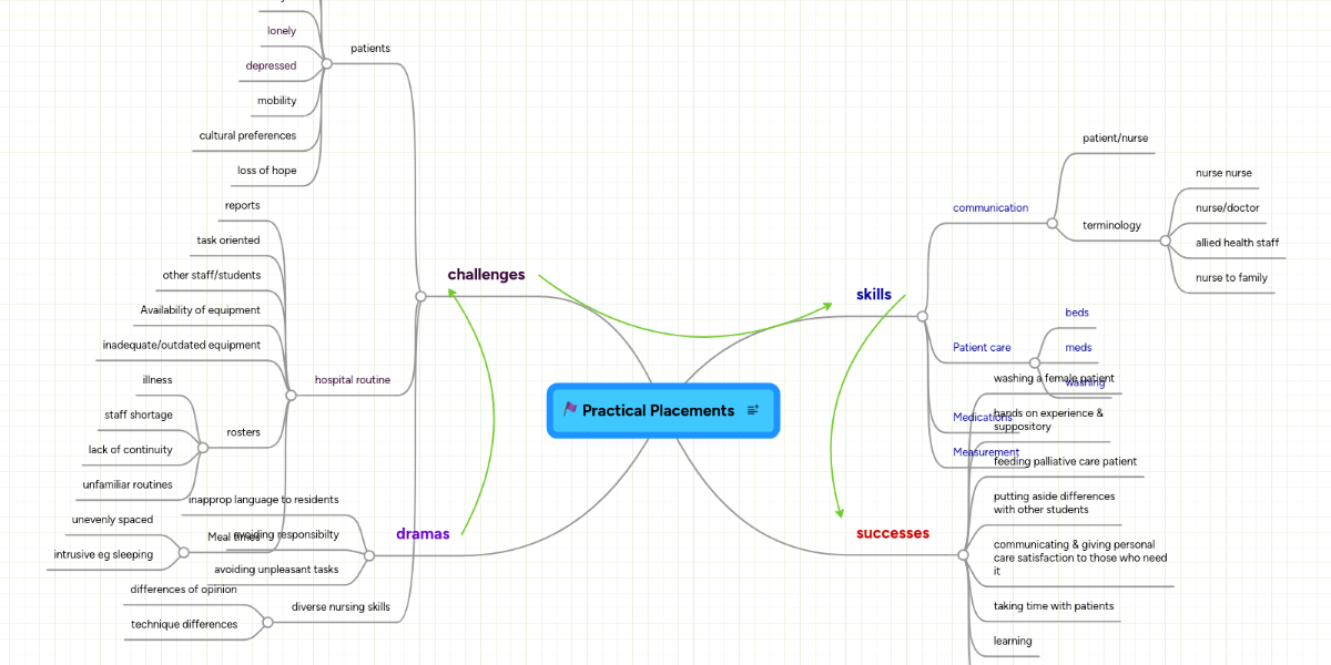Practical Placements | MindMeister Mind Map