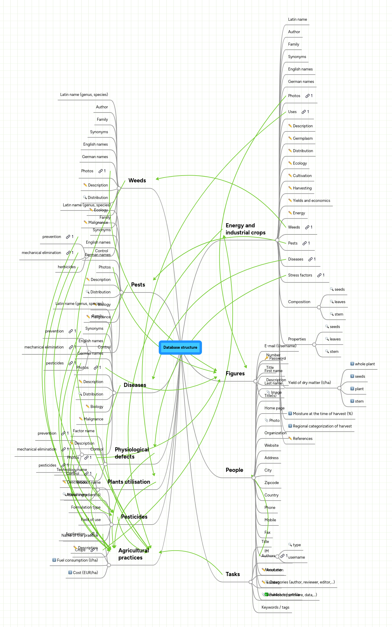 Database structure | MindMeister Mind Map