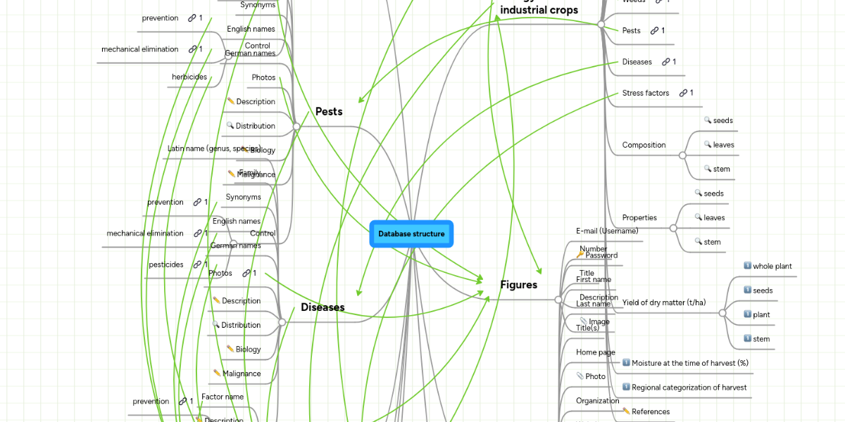 Database structure | MindMeister Mind Map