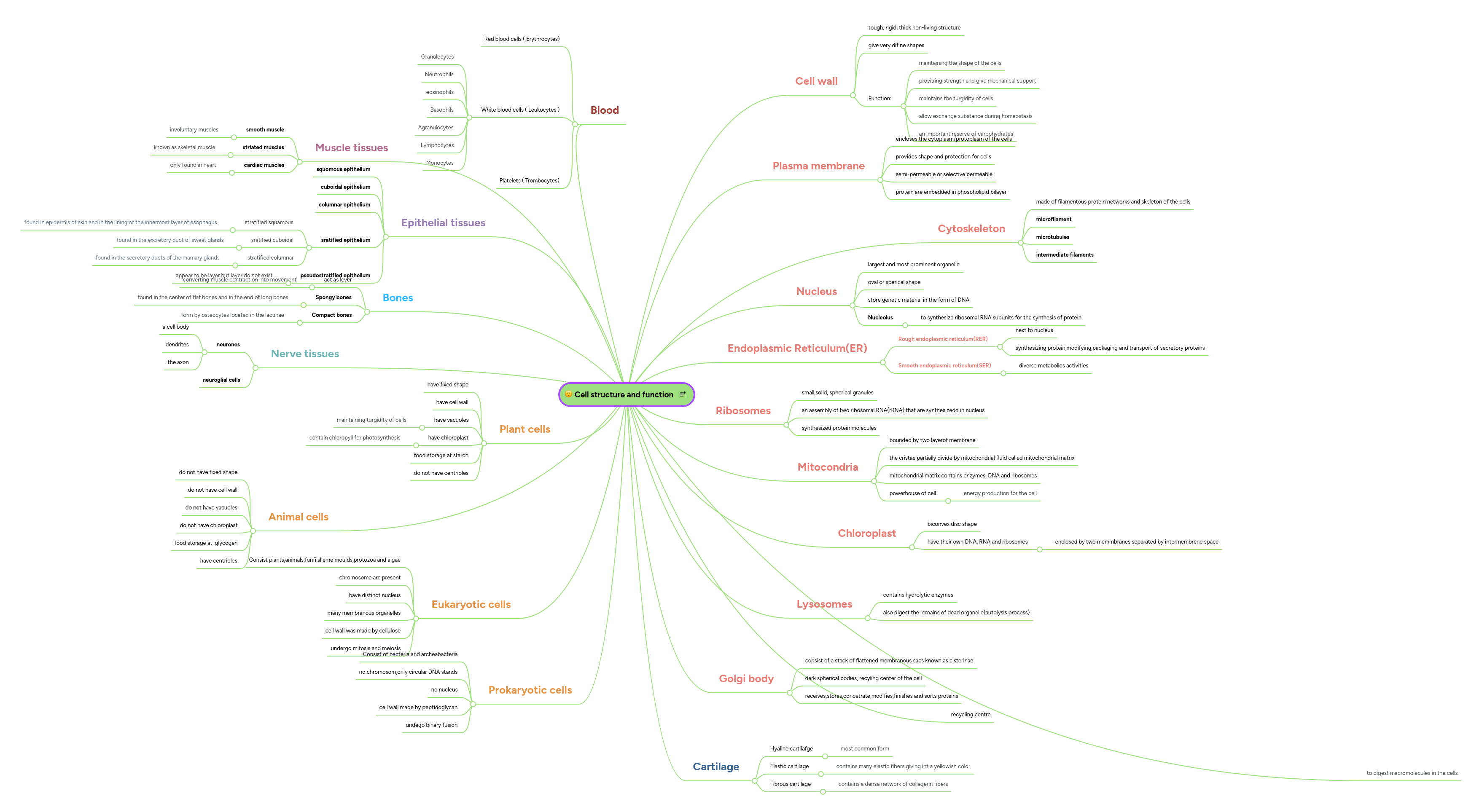 Cell structure and function | MindMeister Mind Map