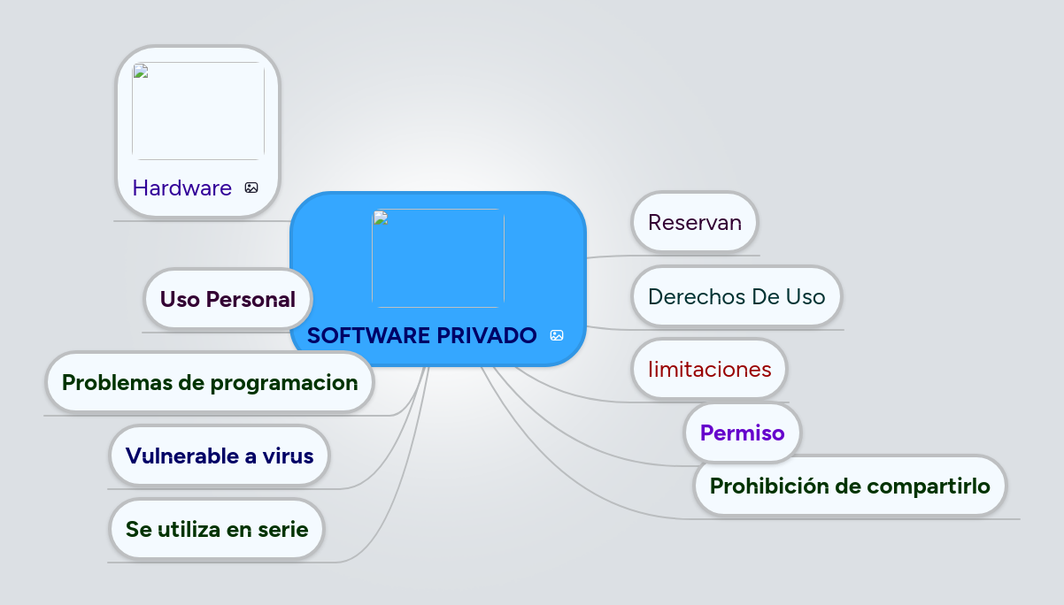 SOFTWARE PRIVADO | MindMeister Mapa mental