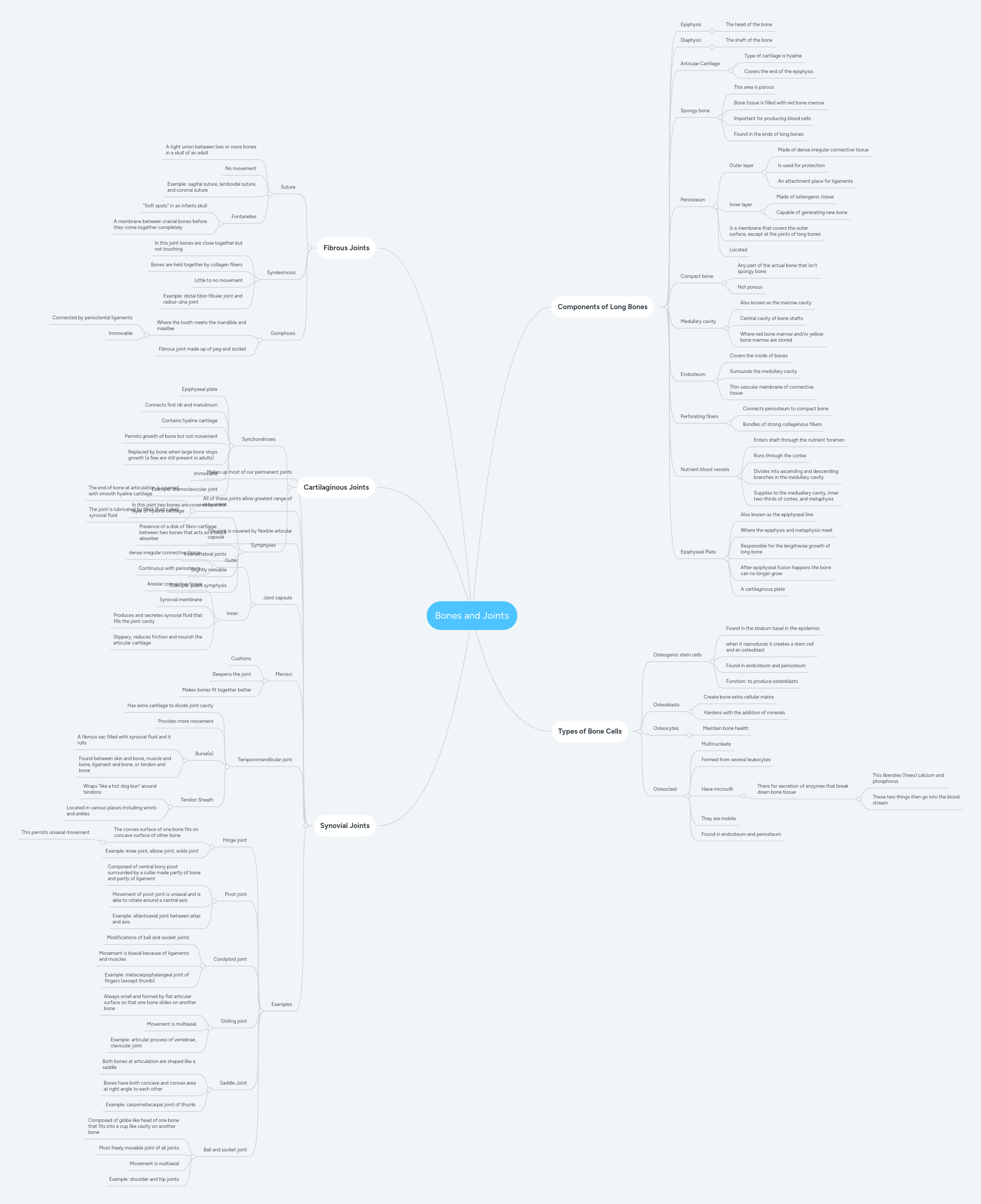 Bones and Joints | MindMeister Mind Map
