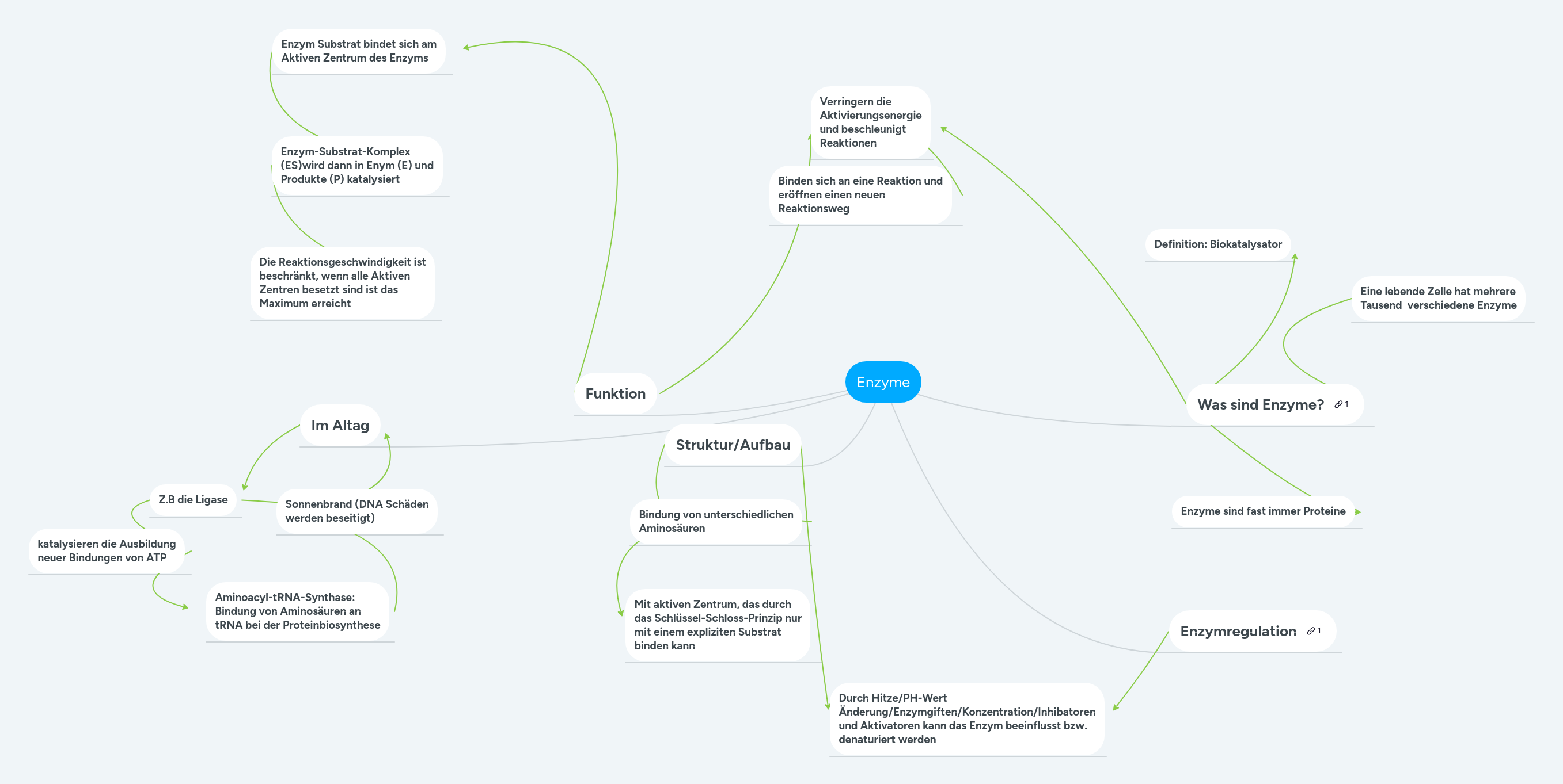 Enzyme | MindMeister Mindmap