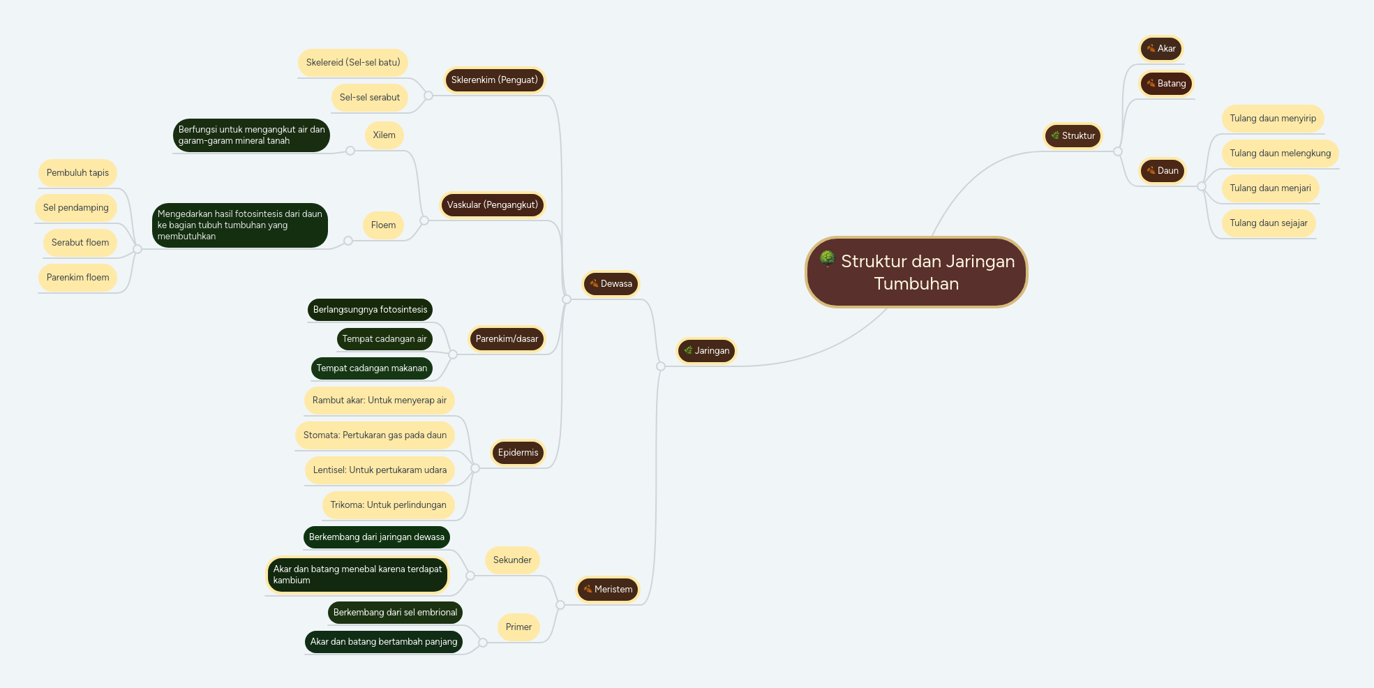 Struktur dan Jaringan Tumbuhan | MindMeister Mind map