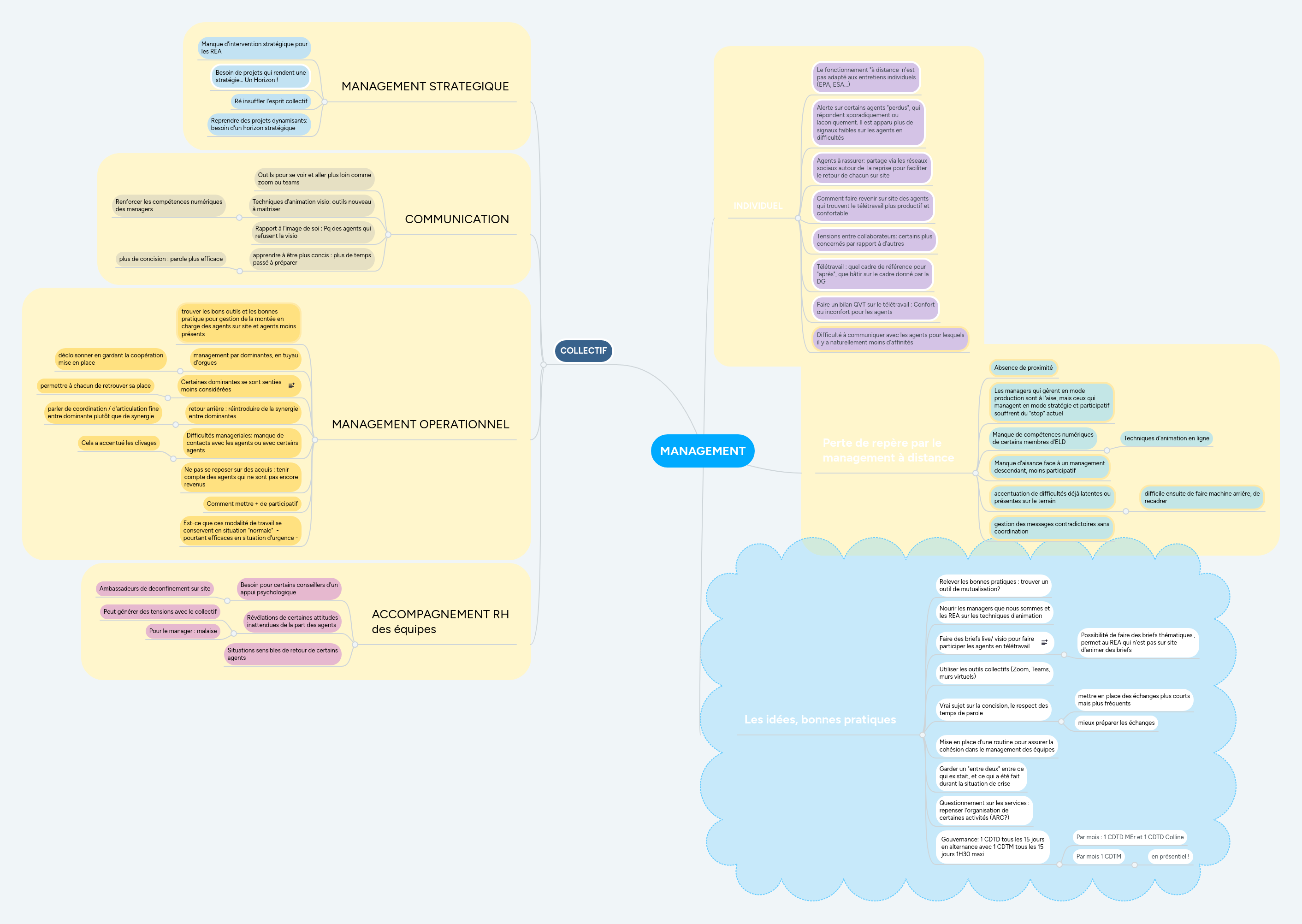 MANAGEMENT | MindMeister Carte mentale