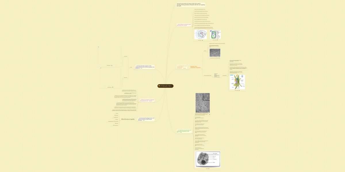 2.3 Eukaryotic Cells | MindMeister Mind Map