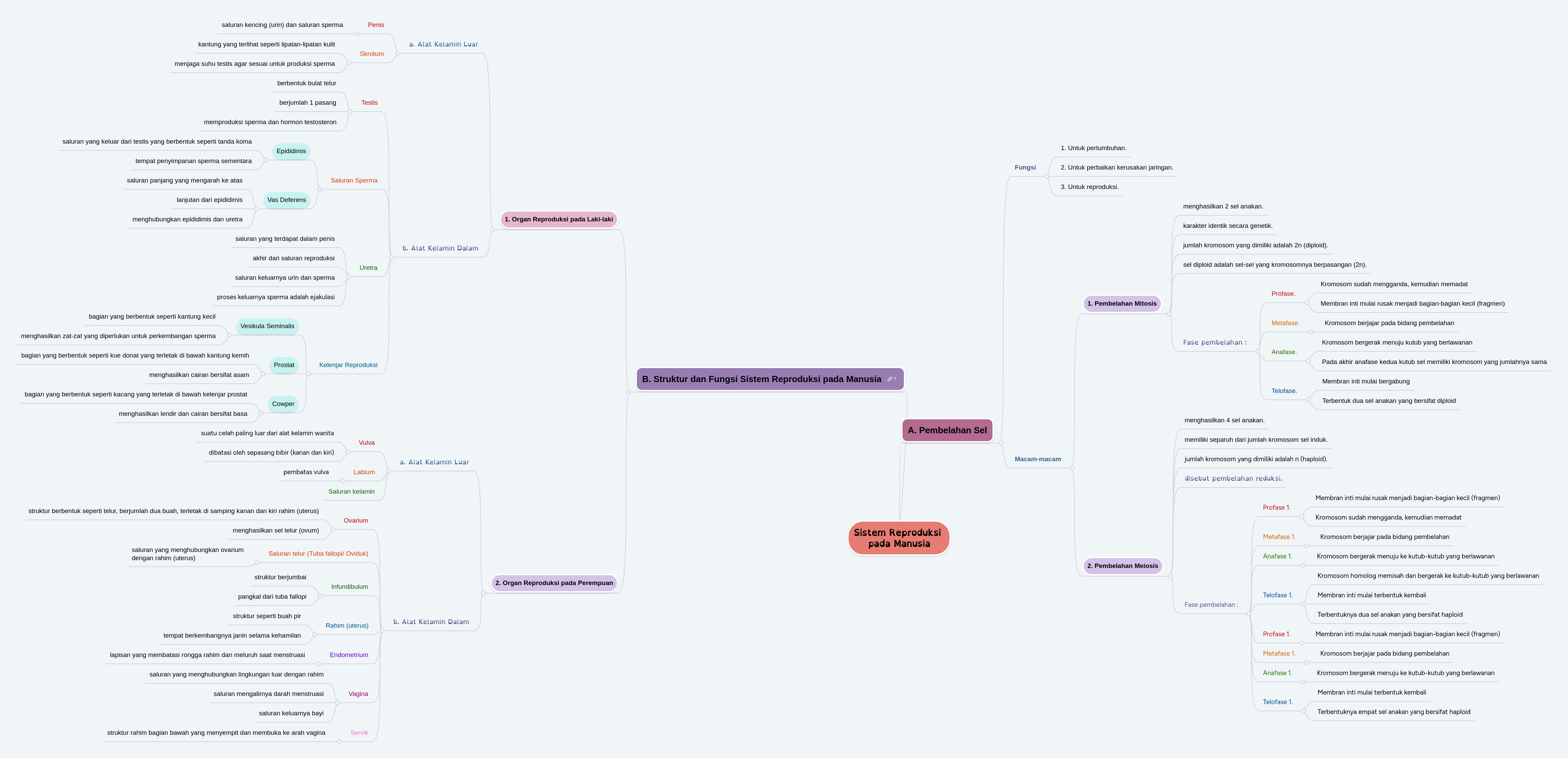 Sistem Reproduksi pada Manusia | MindMeister Mind Map