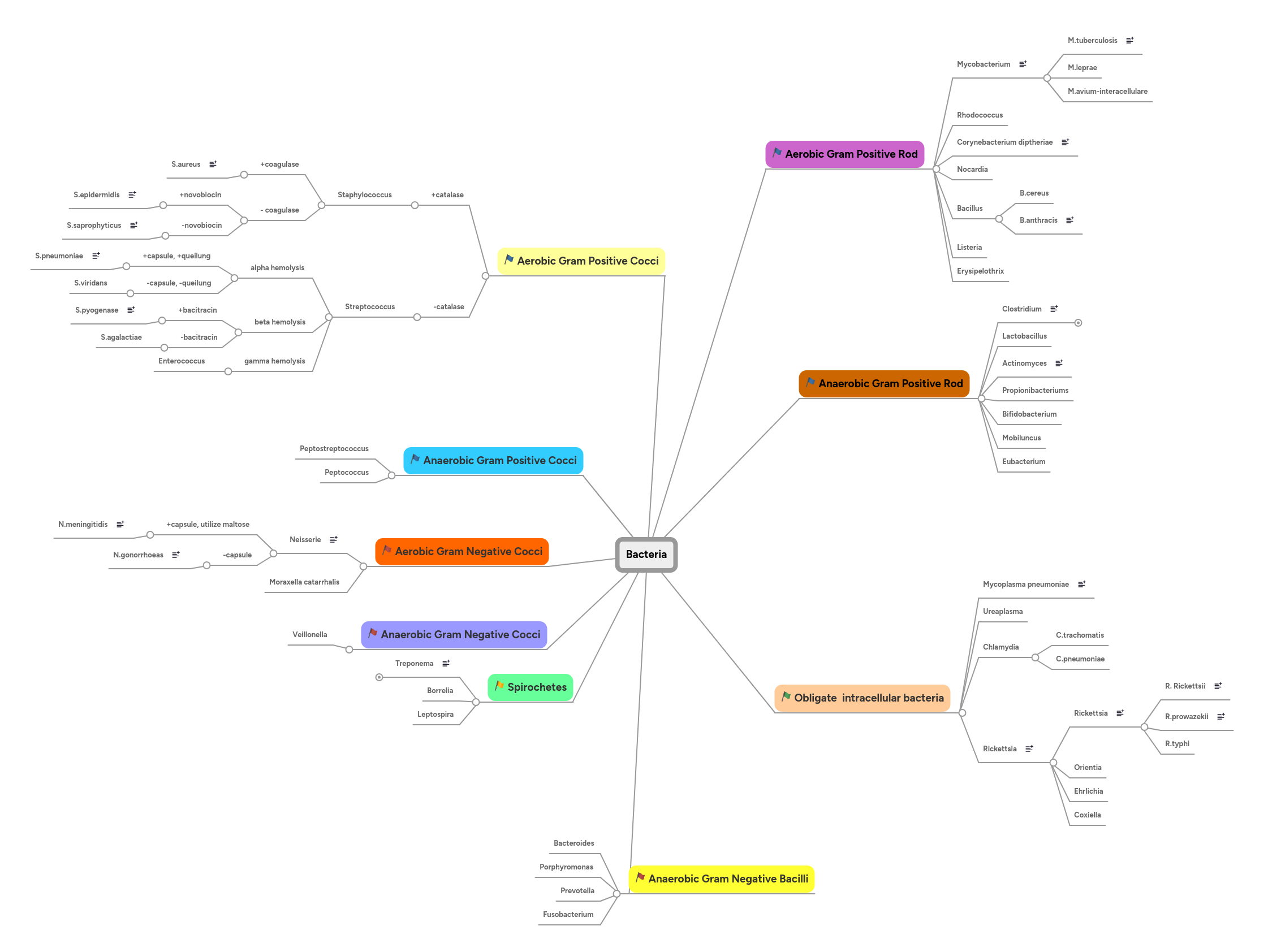Bacteria | MindMeister Mind map