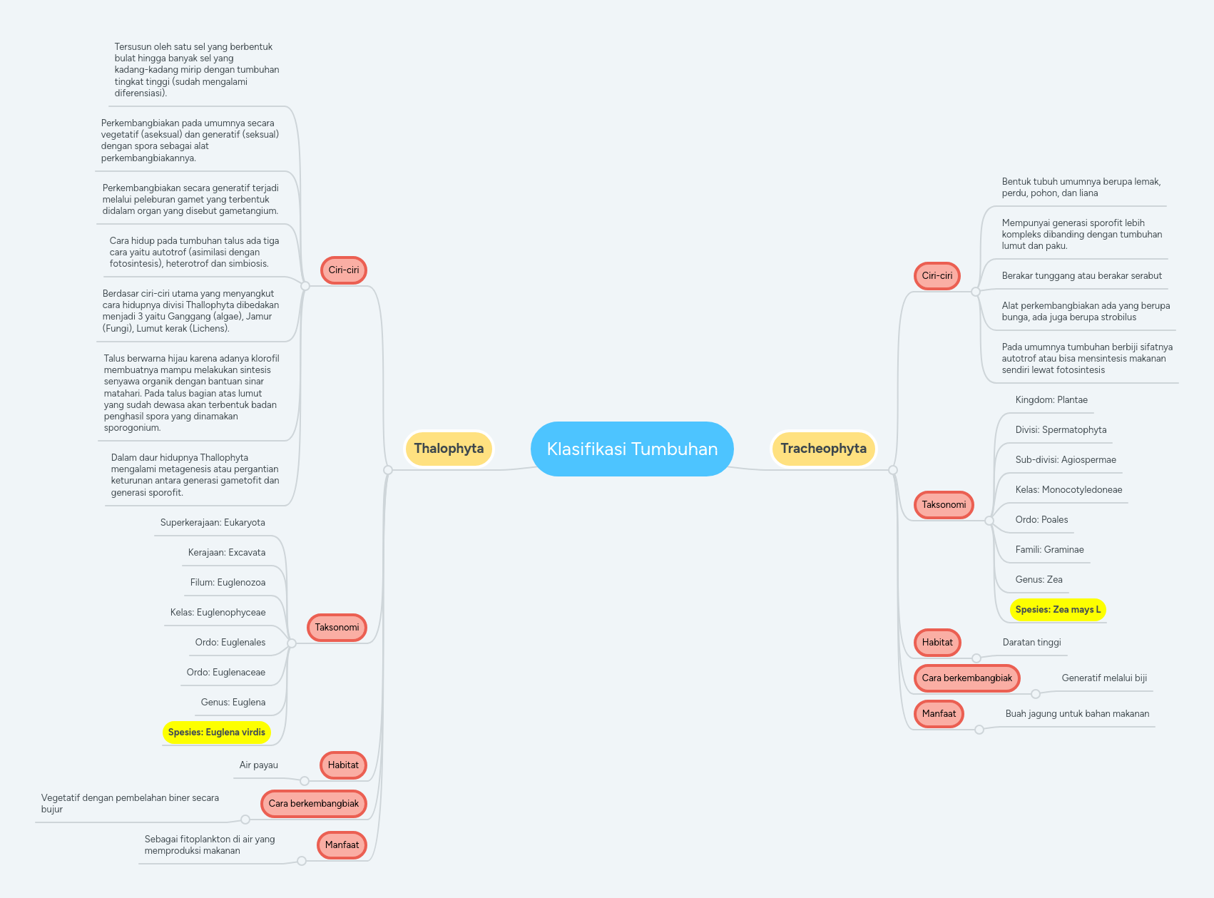 Klasifikasi Tumbuhan | MindMeister Mind map