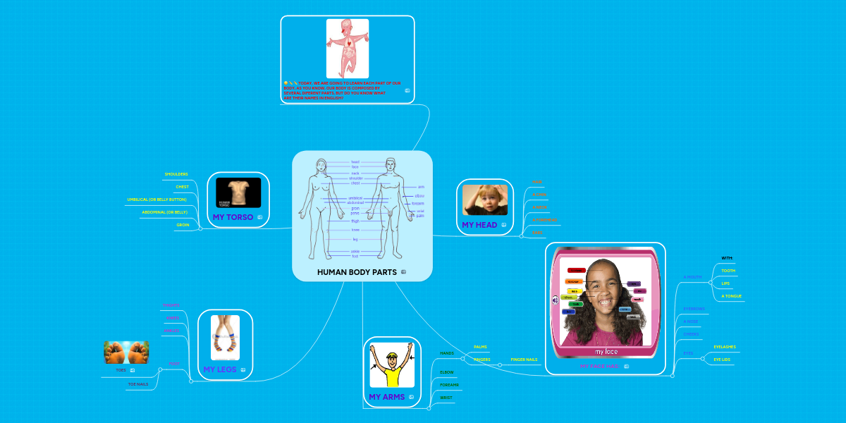 Mind Map Body Parts Mind Map Body Parts