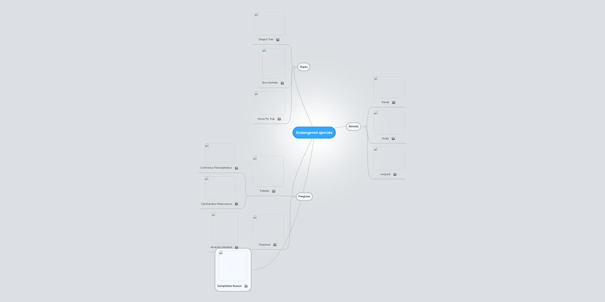 Endangered species | MindMeister Mind Map