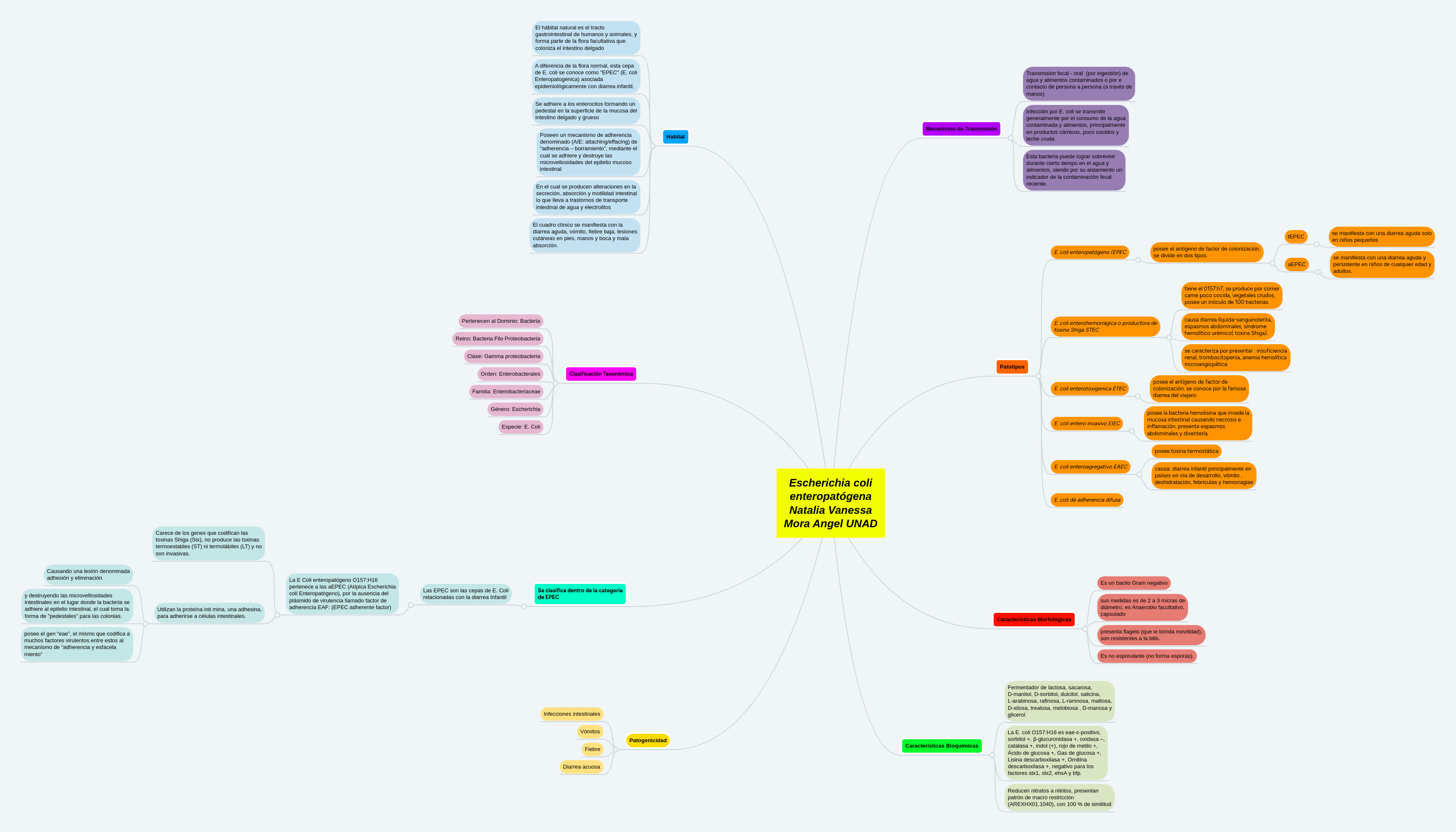 Escherichia coli enteropatógena Natalia Vanessa M... | MindMeister Mapa ...