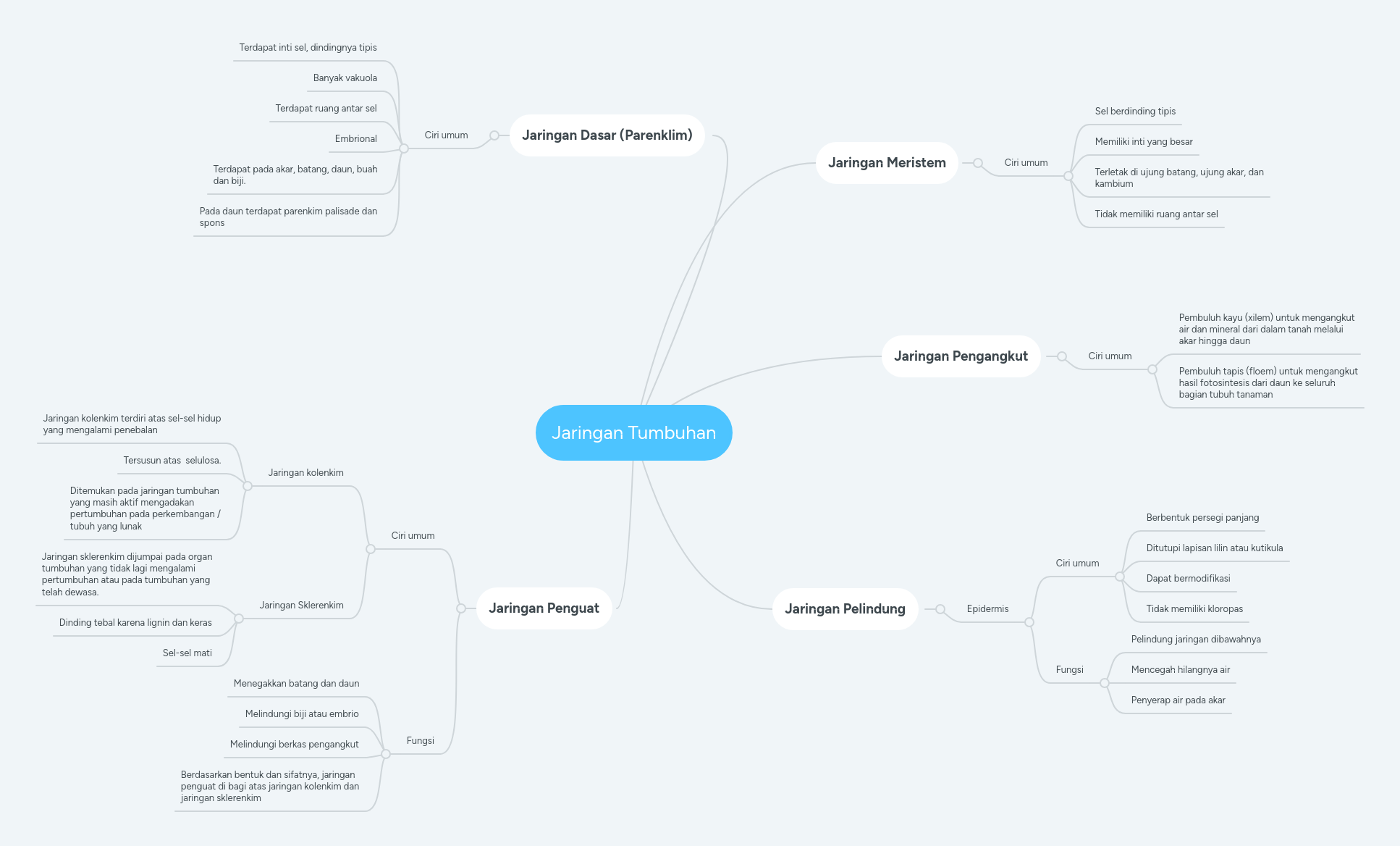Jaringan Tumbuhan | MindMeister Mind map