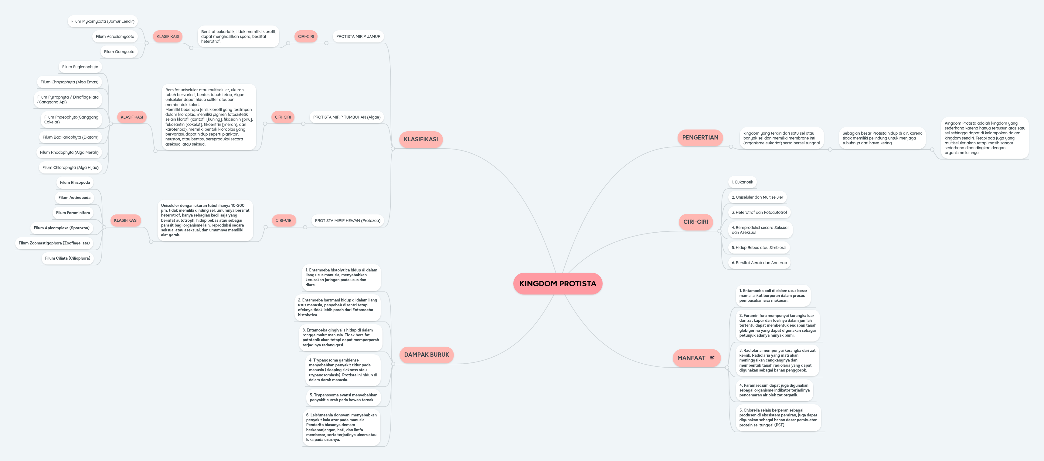KINGDOM PROTISTA | MindMeister Mind Map