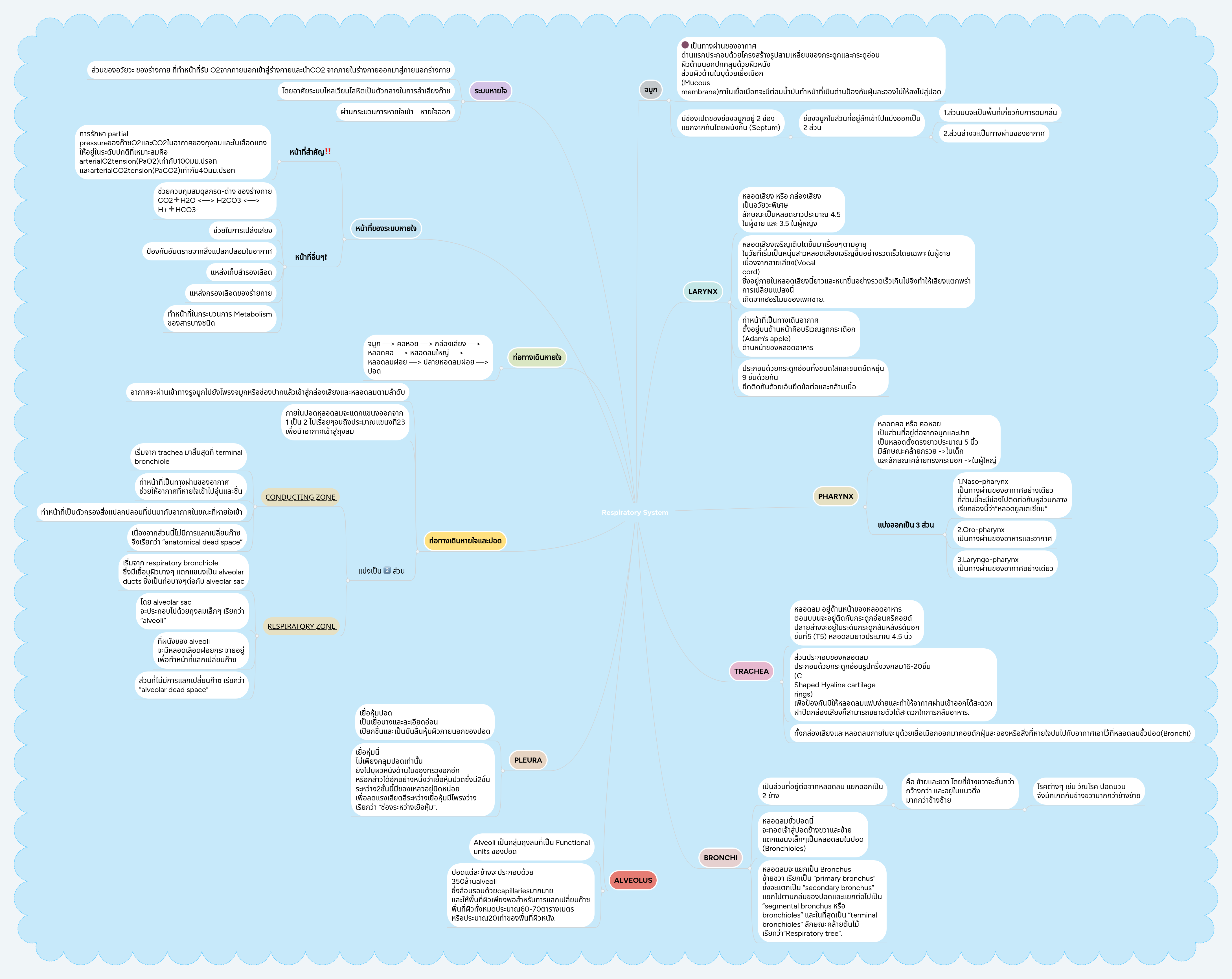Respiratory System | MindMeister Mind map