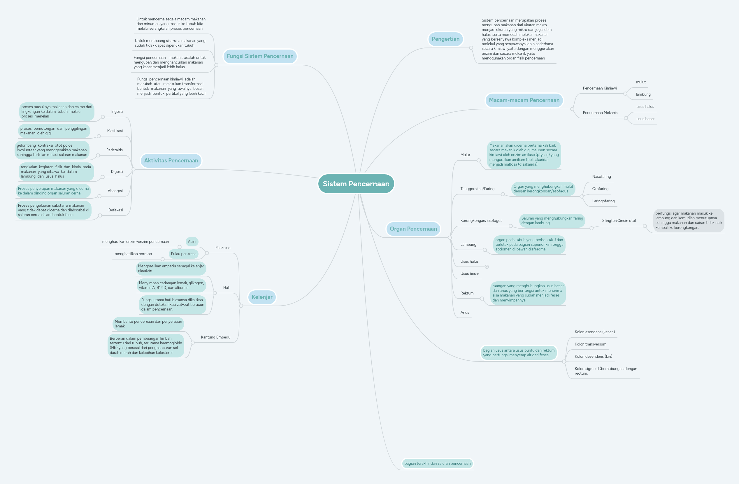 Sistem Pencernaan | MindMeister Mind map