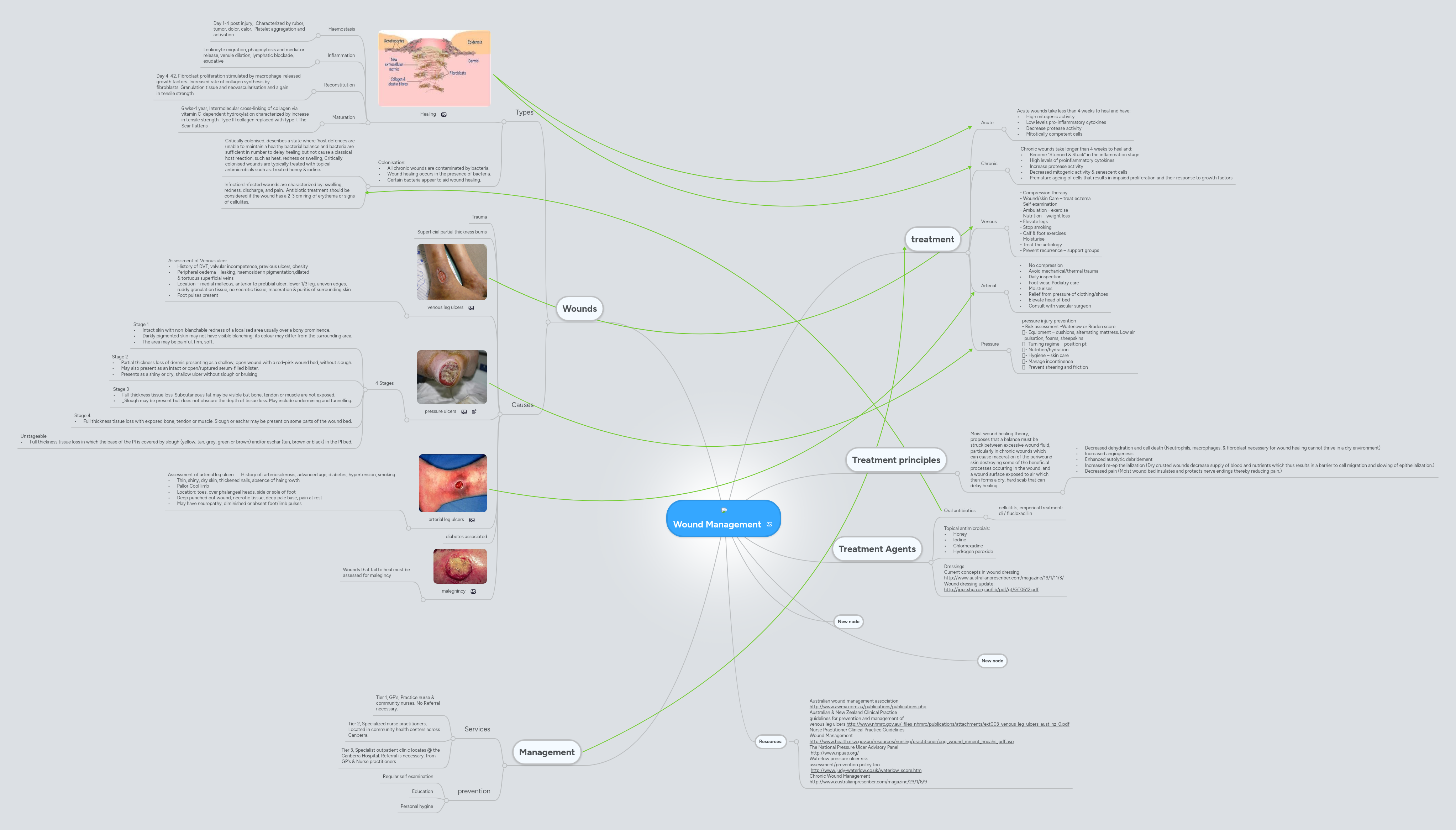 Wound Management | MindMeister Mind Map